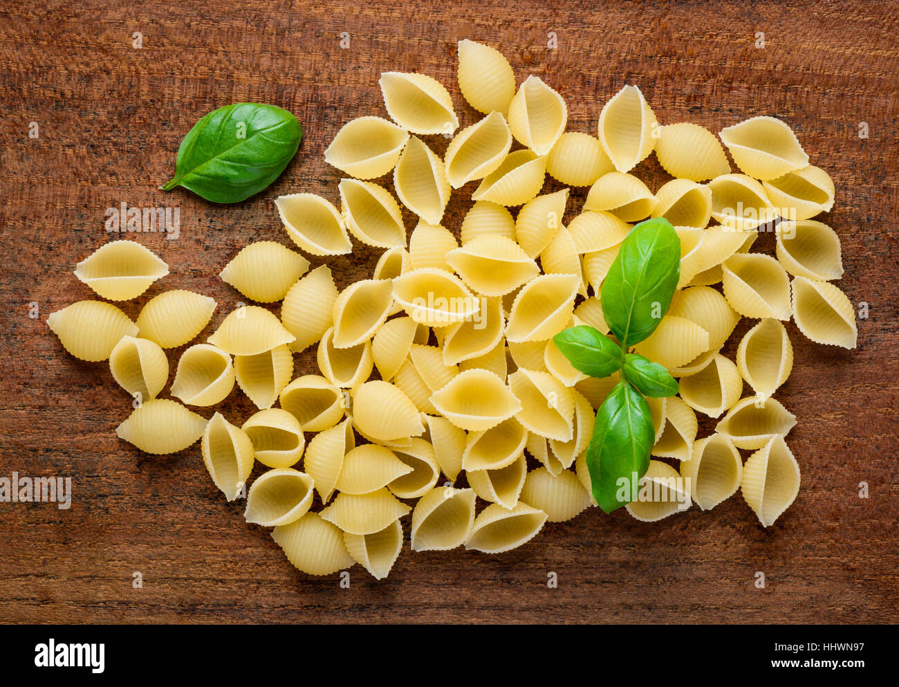Conchiglie rigate hi-res stock photography and images - Alamy