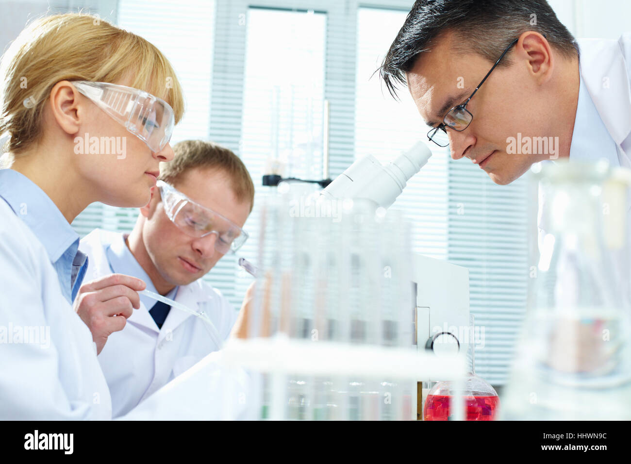 woman, humans, human beings, people, folk, persons, human, human being ...