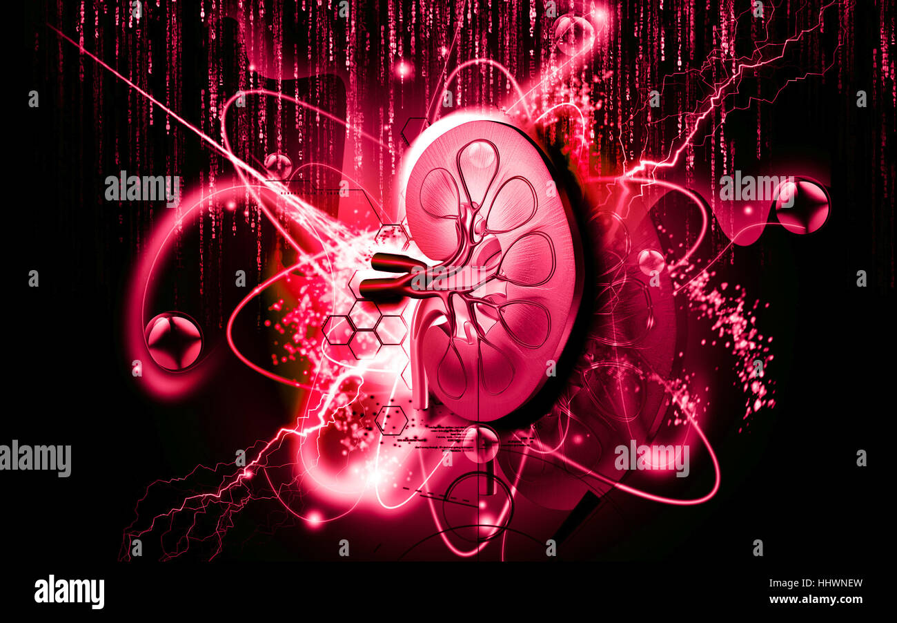 education, medicinally, medical, graphics, colour, illustration ...