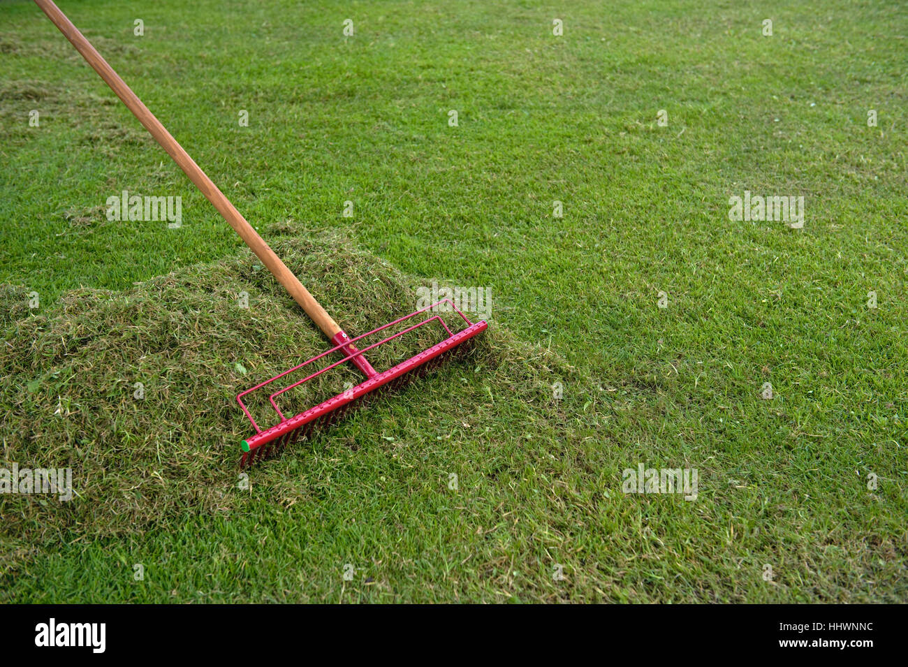 garden, gardening, gardens, heap, pile, meadow, grass, lawn, green ...