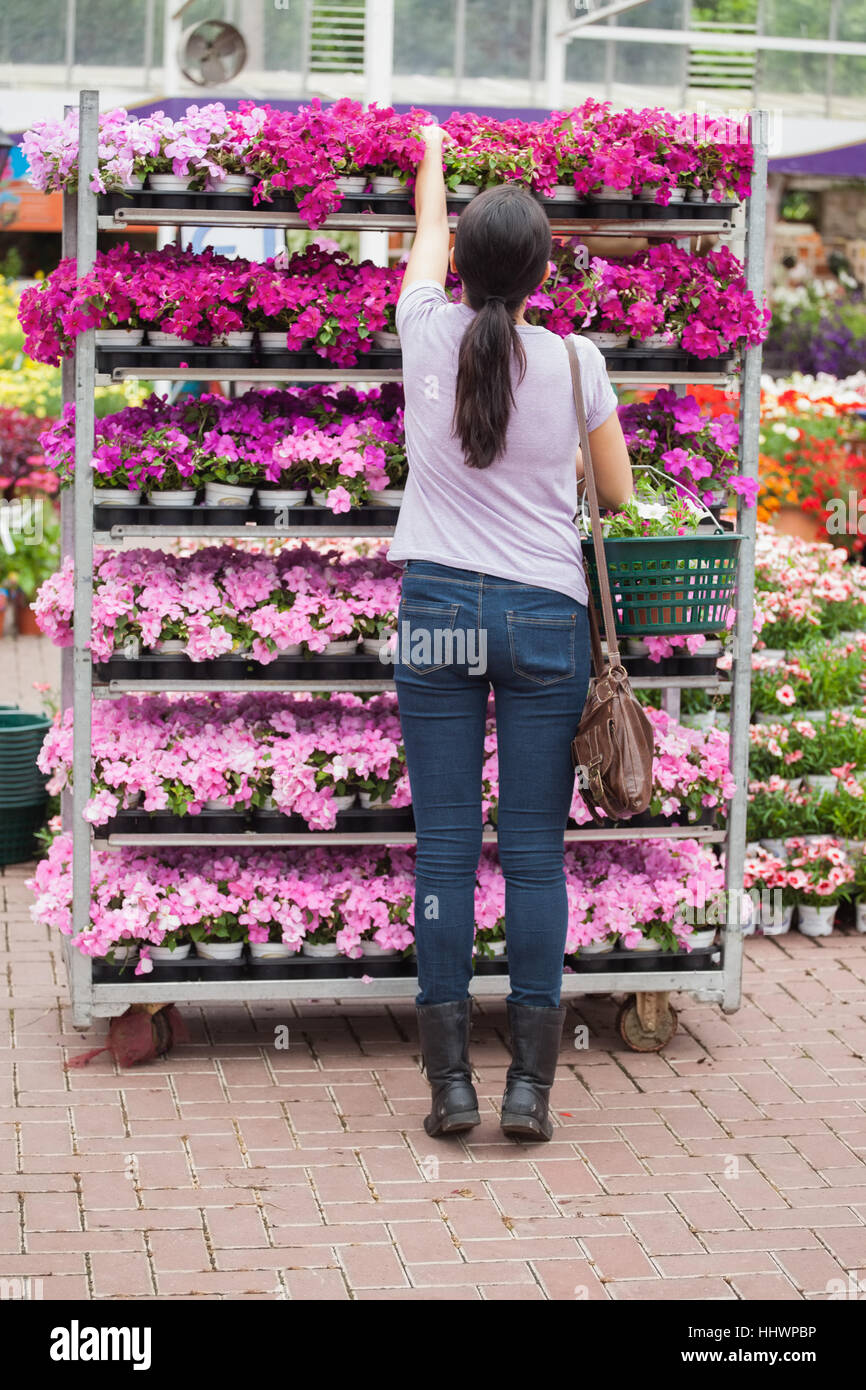 Woman taking flower from the top of the shelves Stock Photo - Alamy