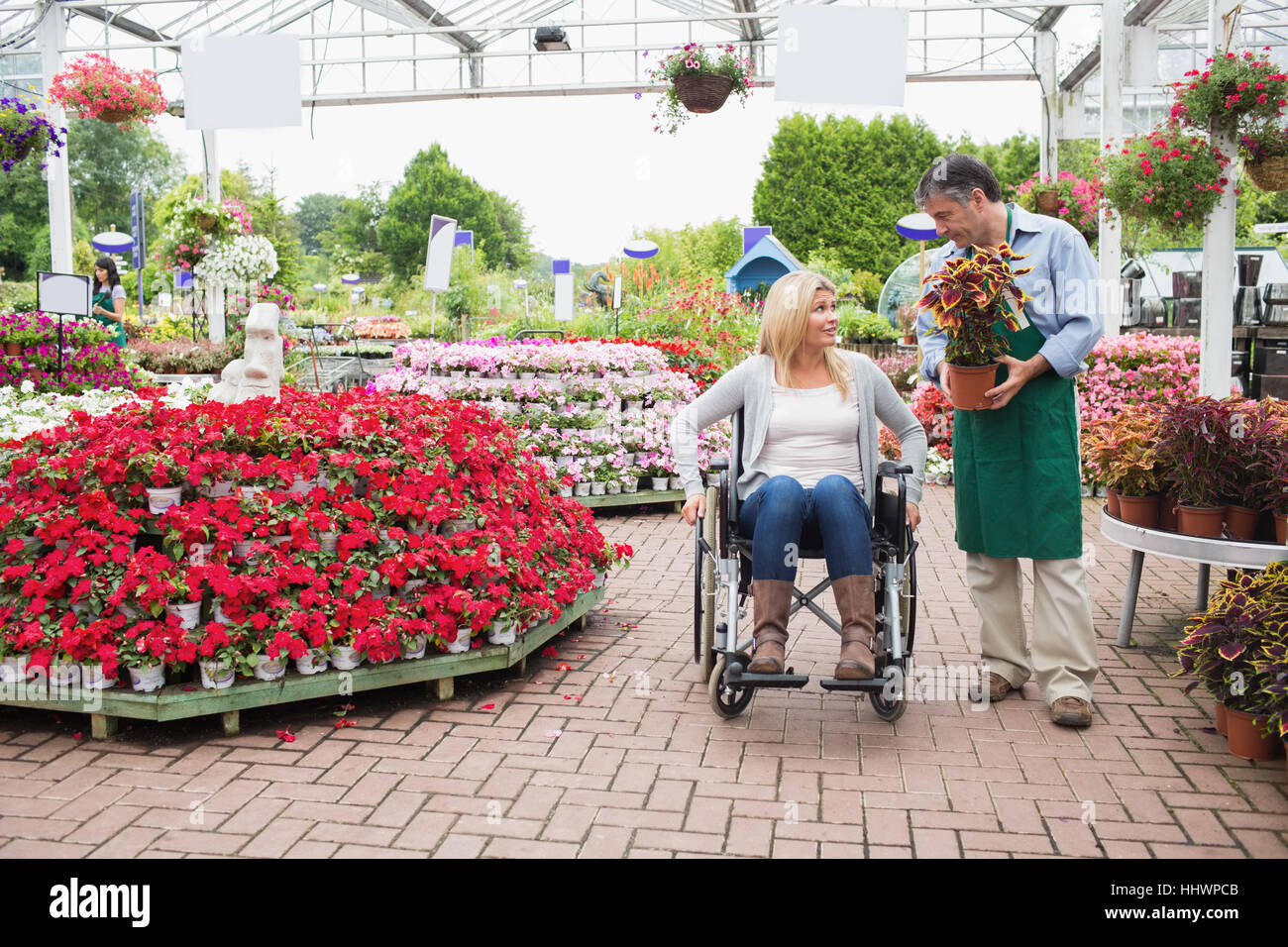 Woman in wheelchair talking to employee carrying plant in garden center ...