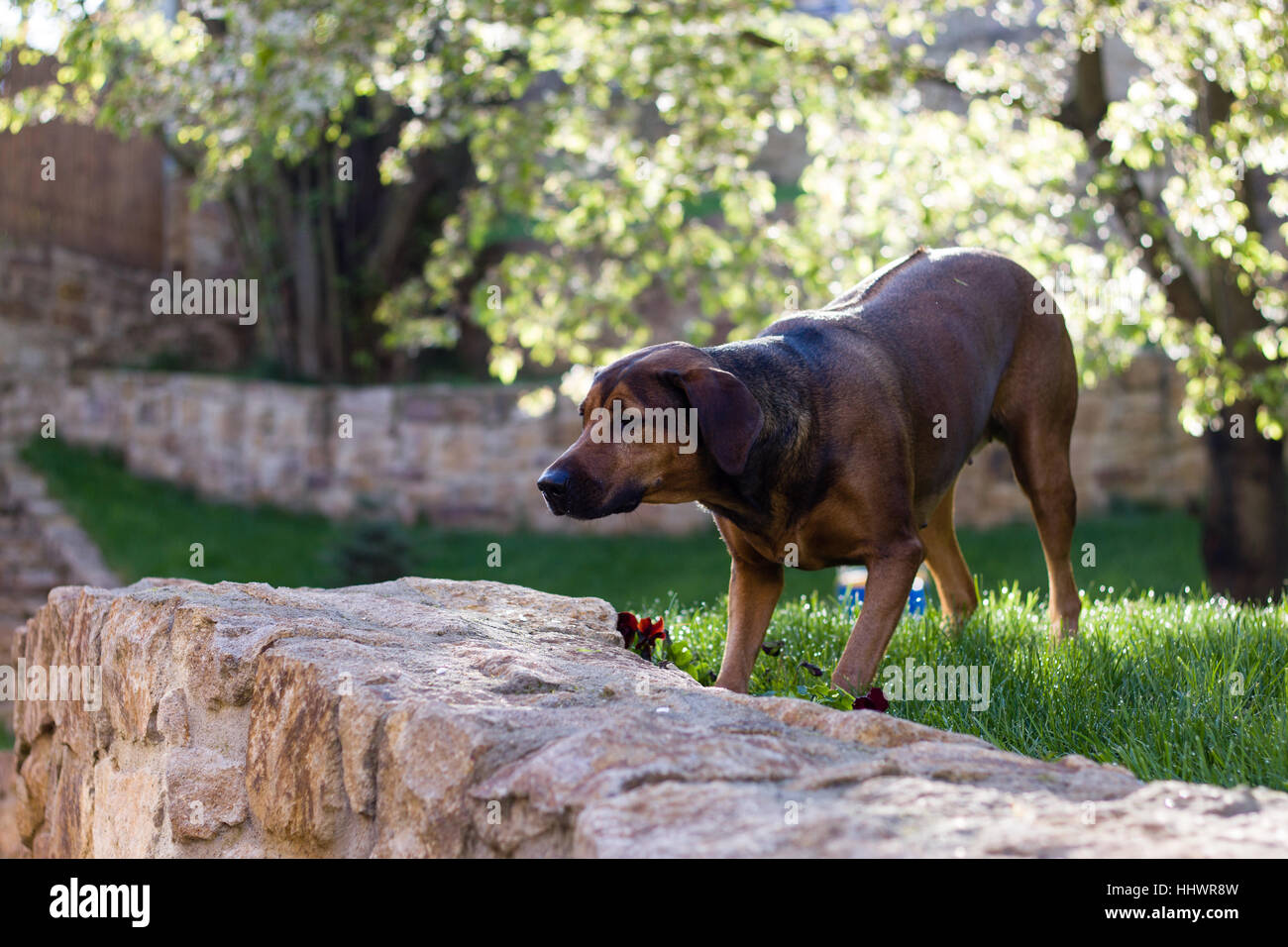 Back communicate hi-res stock photography and images - Alamy