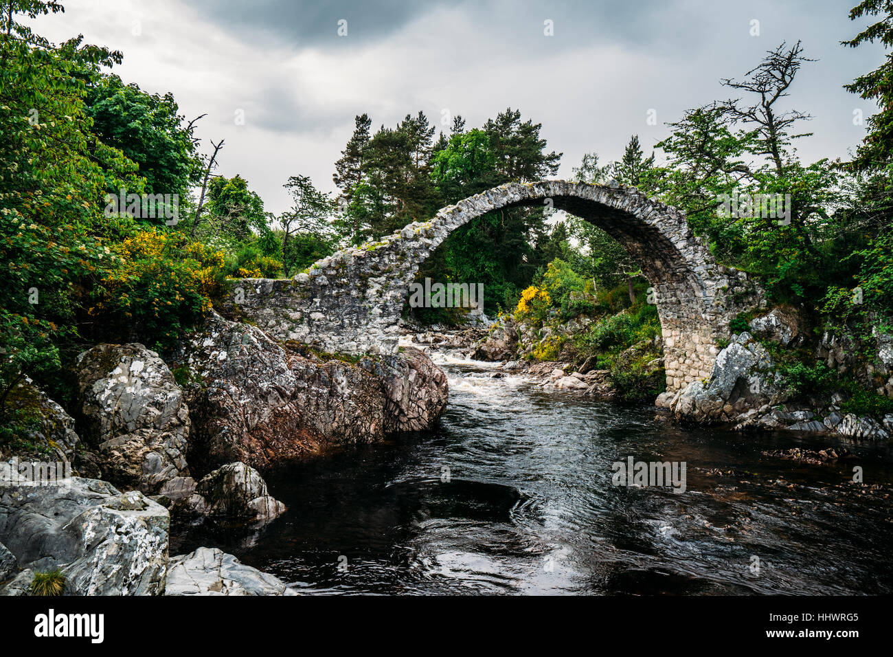 Arched footbridge over tranquil stream, Carrbridge, Scotland Stock ...