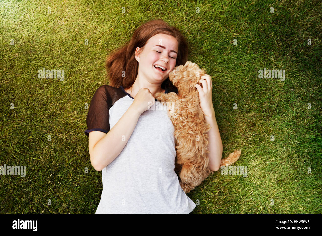 Overhead view happy young woman cuddling affectionate dog in grass ...