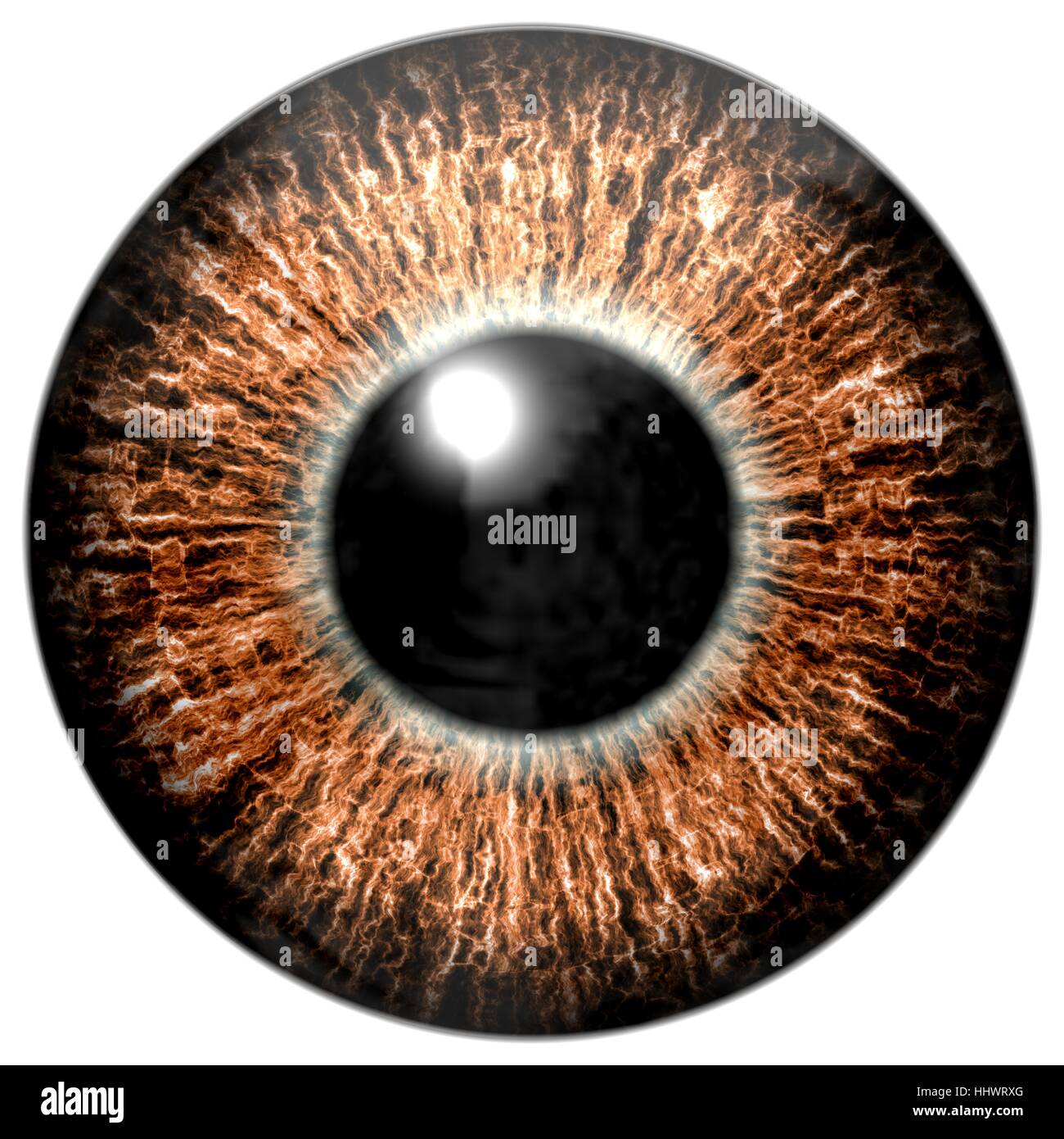 Sharp attractive deep eye texture hi-res stock photography and images ...