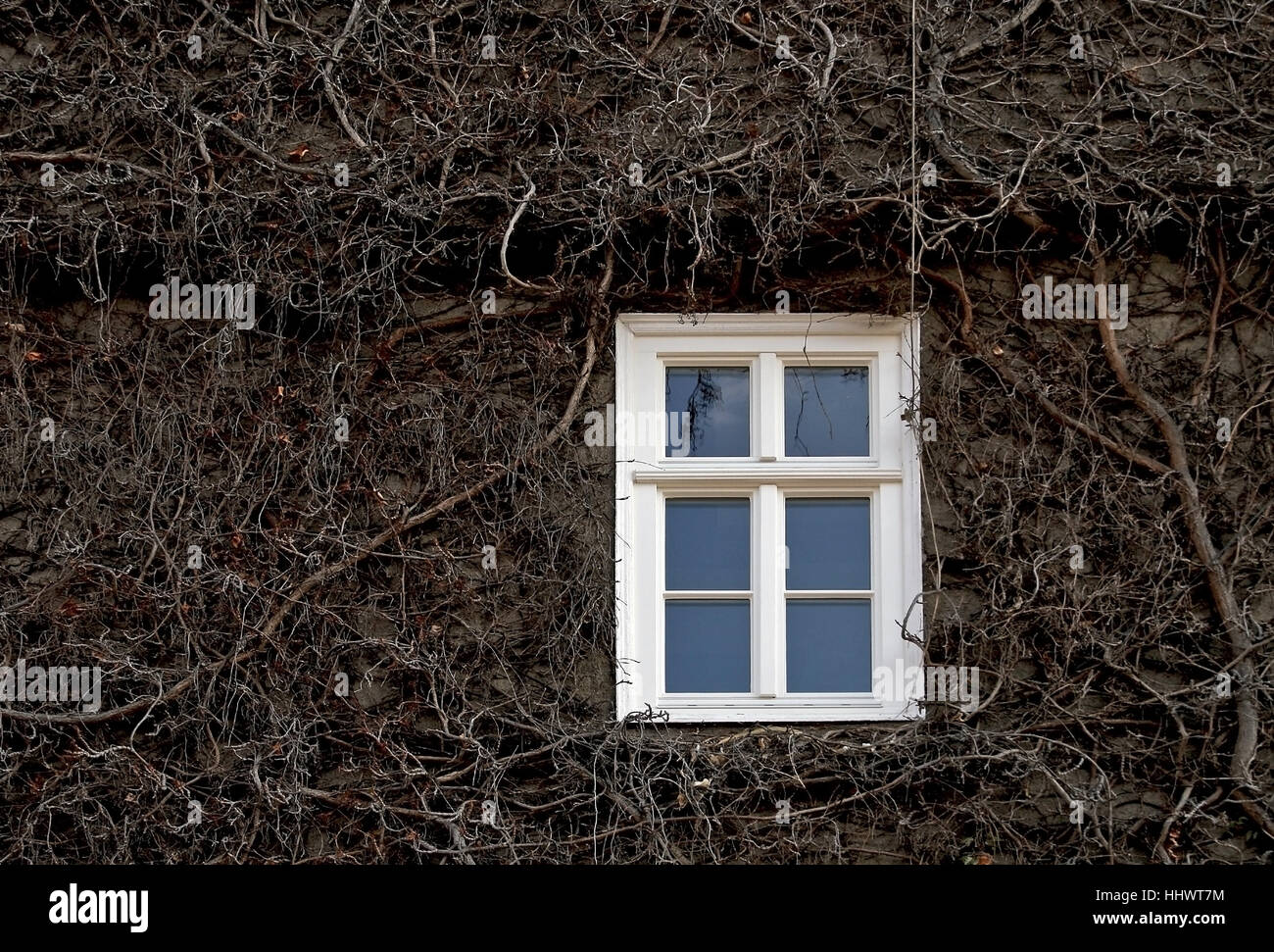 window, porthole, dormer window, pane, root, window frame, window grate ...