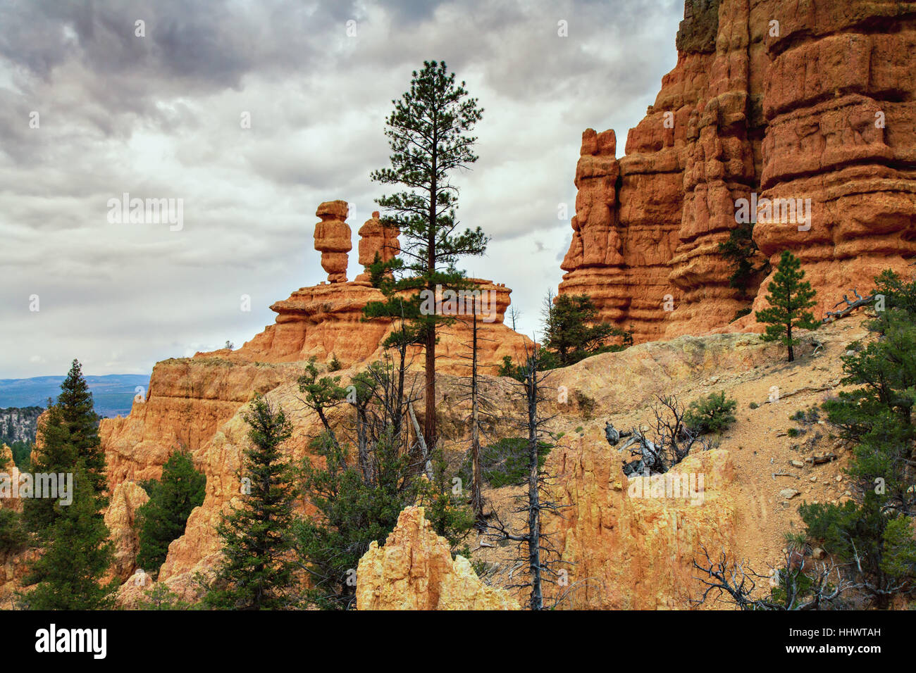 tree, formation, usa, Canyon, geology, landscape, scenery, countryside ...
