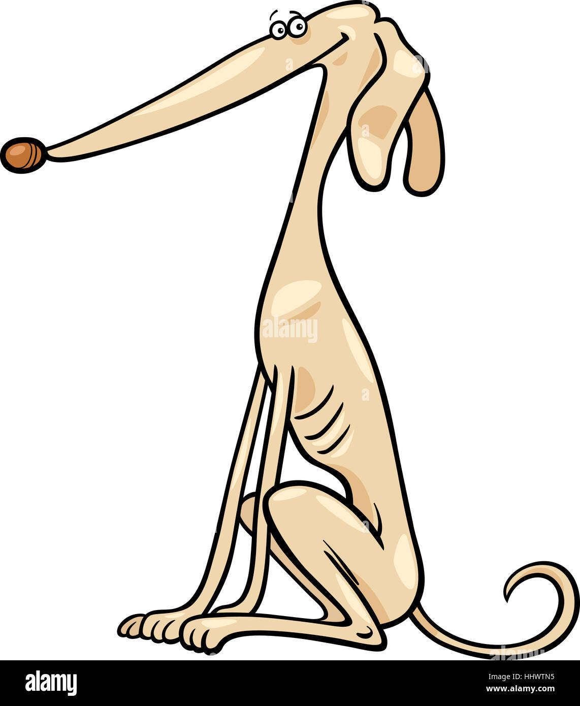 Greyhound Dog Cartoon Illustration High Resolution Stock Photography ...