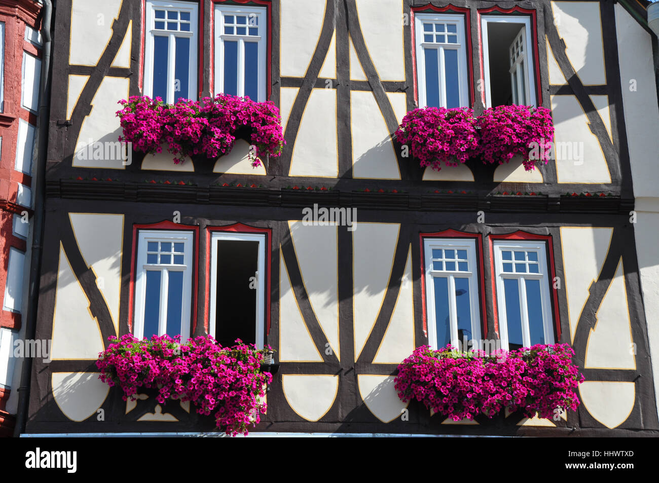 flower, flowers, plant, germany, german federal republic, facade ...