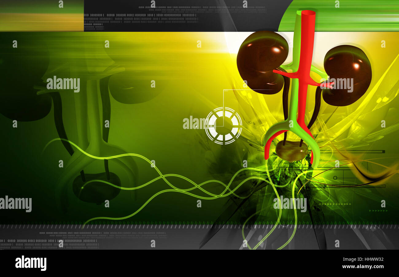 education, medicinally, medical, graphics, colour, illustration ...