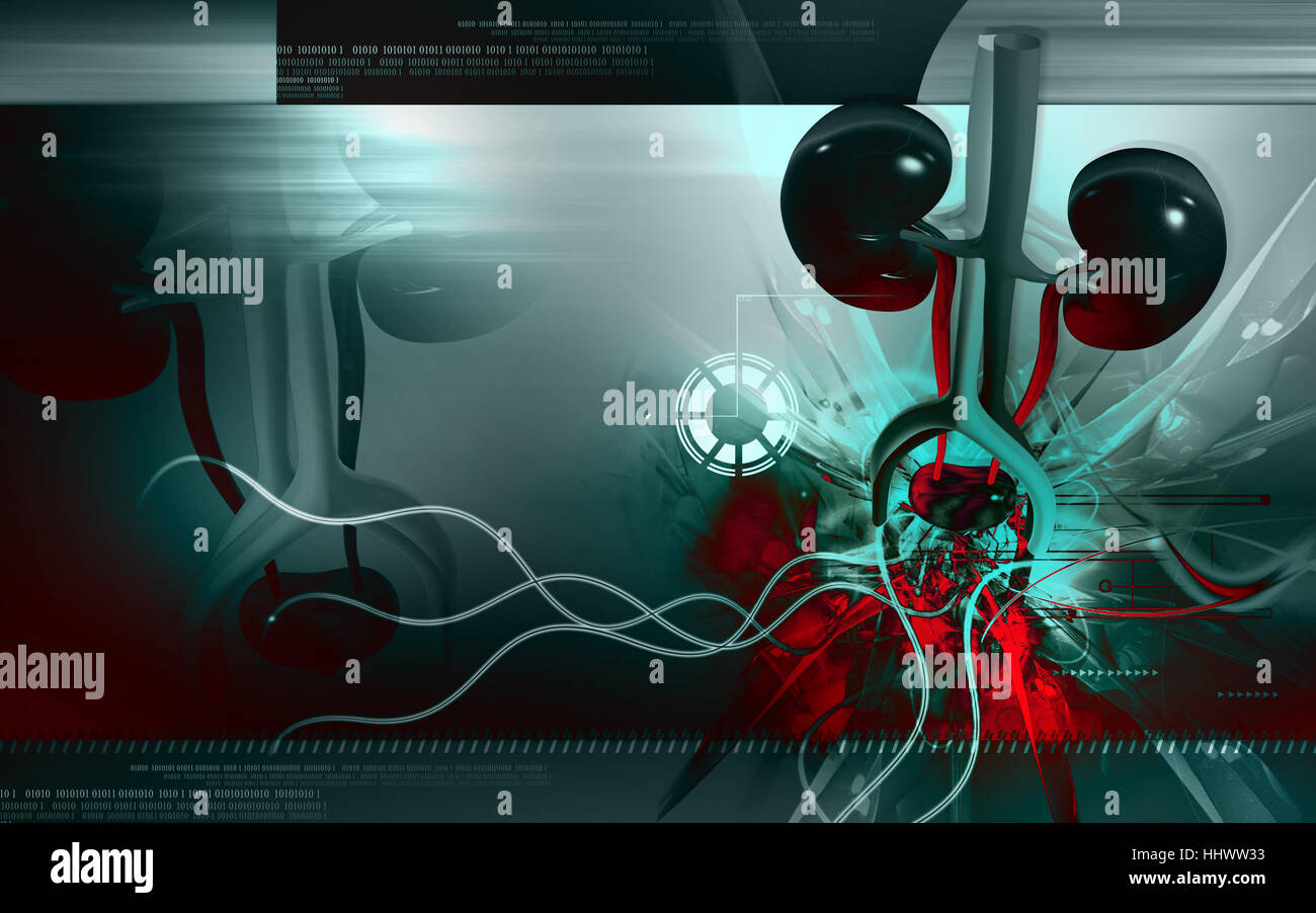 education, medicinally, medical, graphics, colour, illustration ...