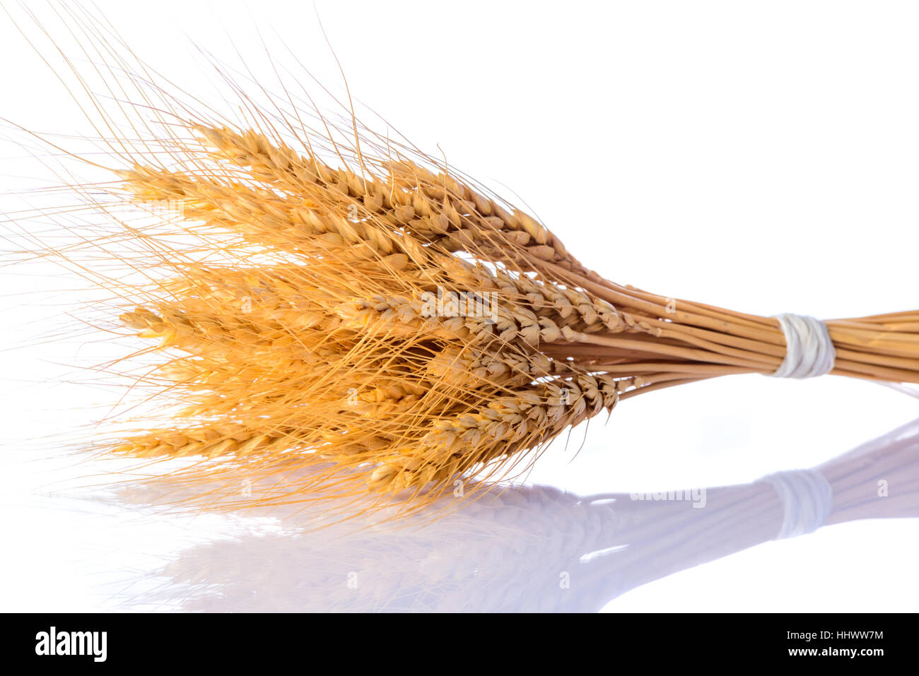 Bundle of wheat isolated on white background Stock Photo - Alamy