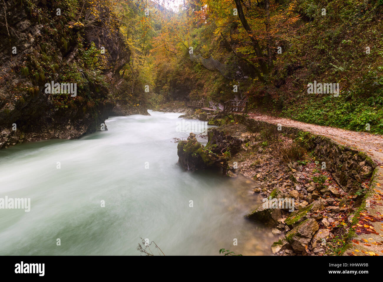 Vintgar gorge and wooden path near Bled, Slovenia.Europe Stock Photo ...
