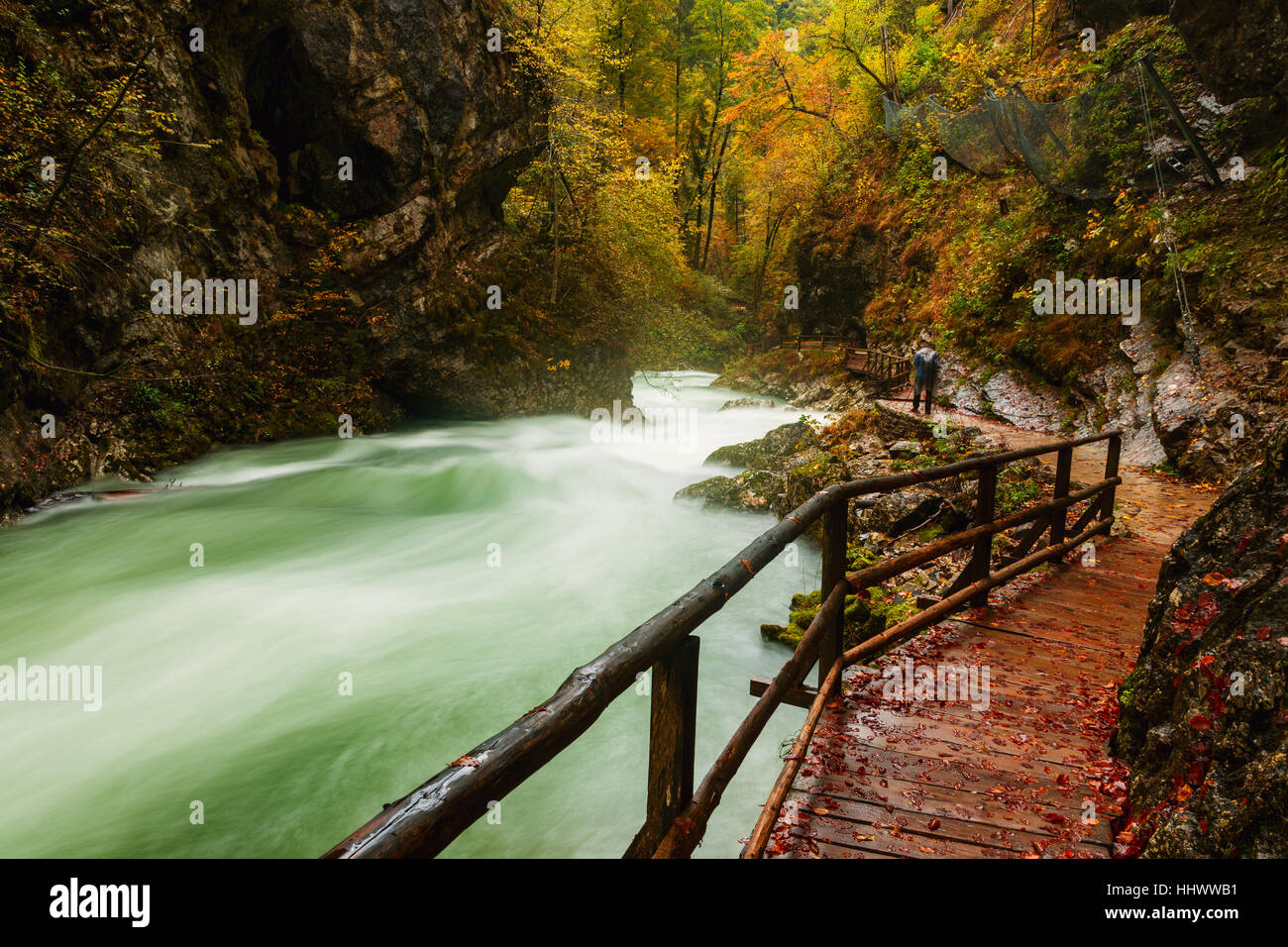 Vintgar gorge and wooden path near Bled, Slovenia.Europe Stock Photo ...