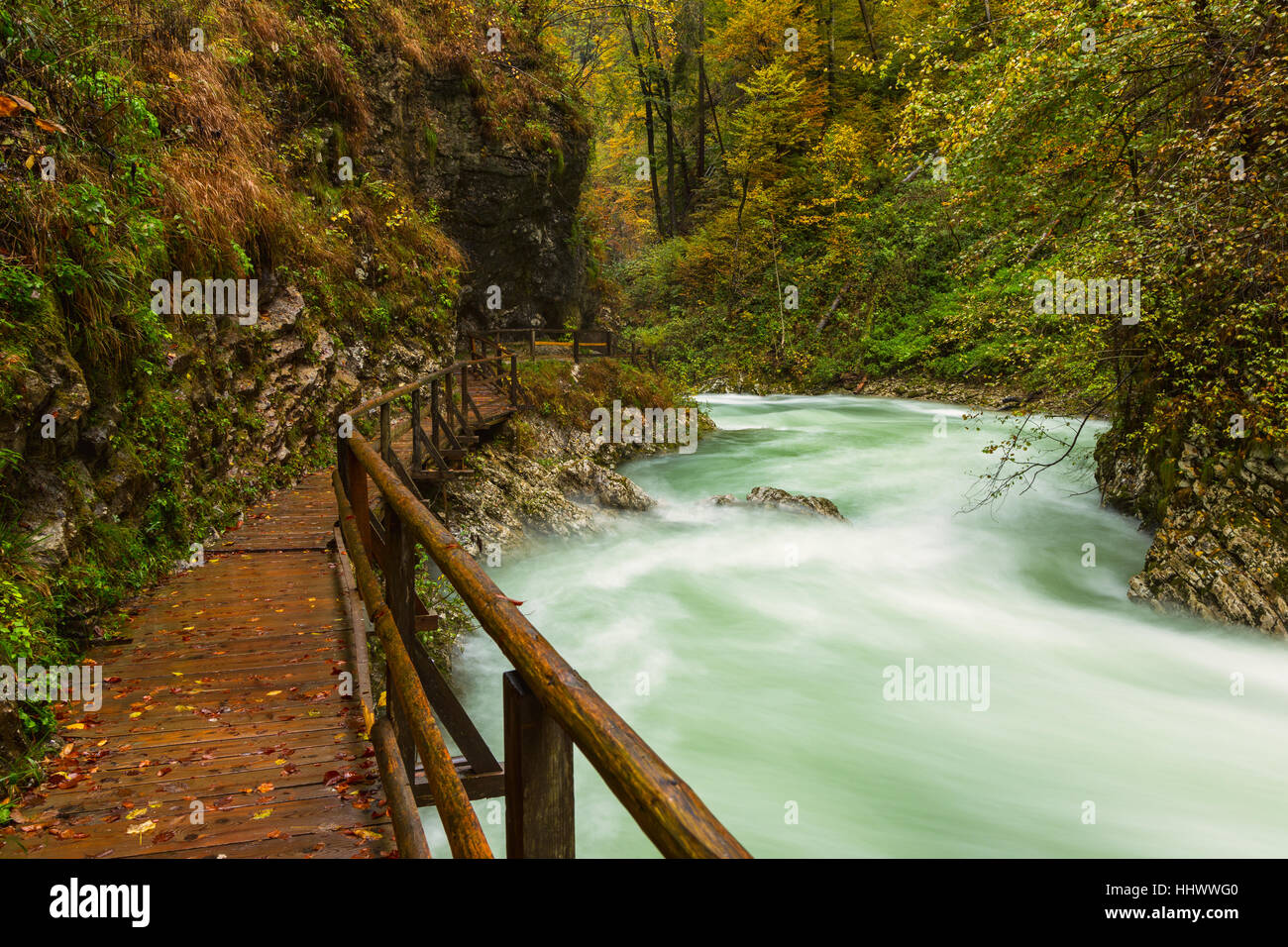 Vintgar gorge and wooden path near Bled, Slovenia.Europe Stock Photo ...