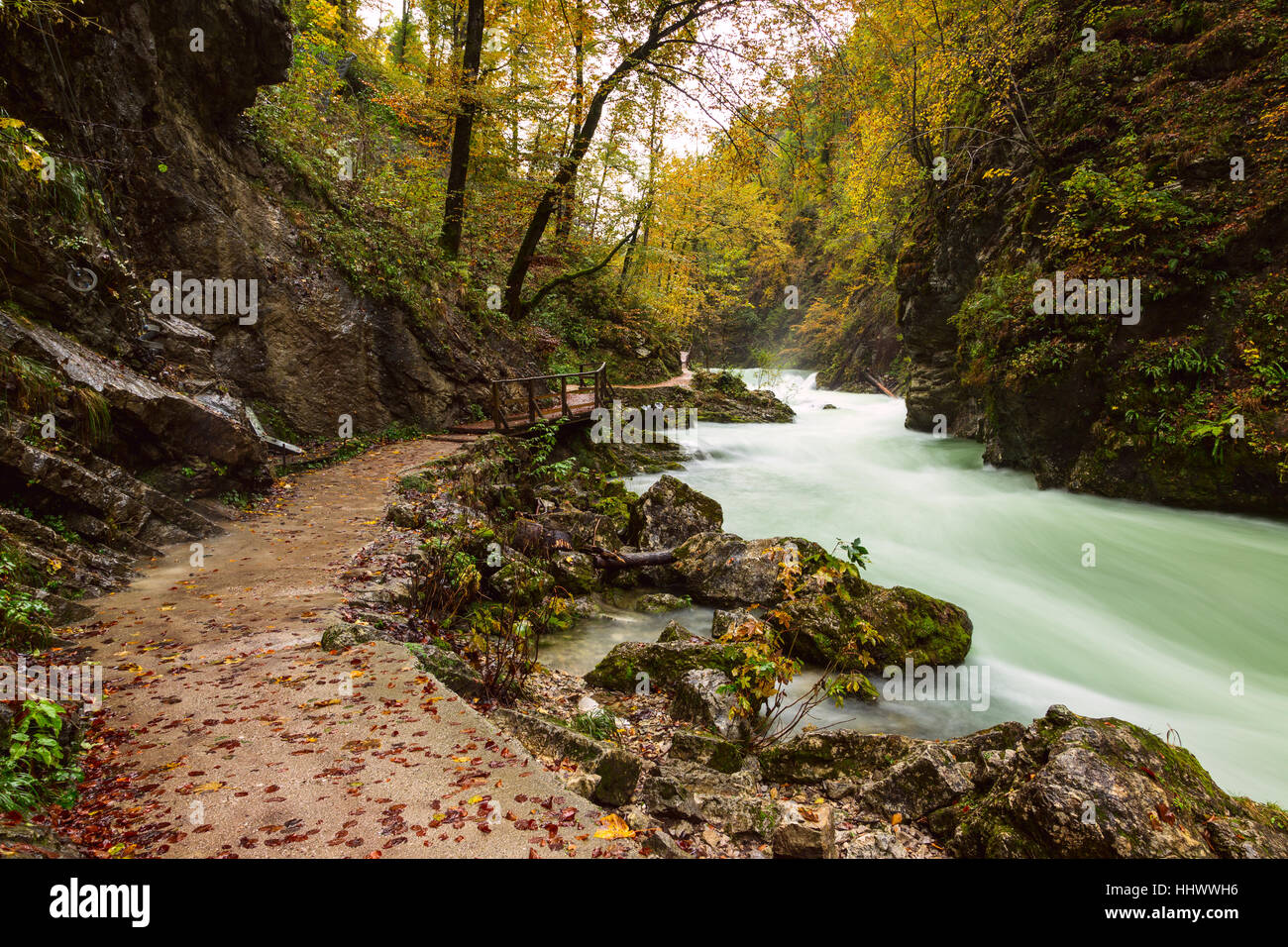 Vintgar gorge and wooden path near Bled, Slovenia.Europe Stock Photo ...