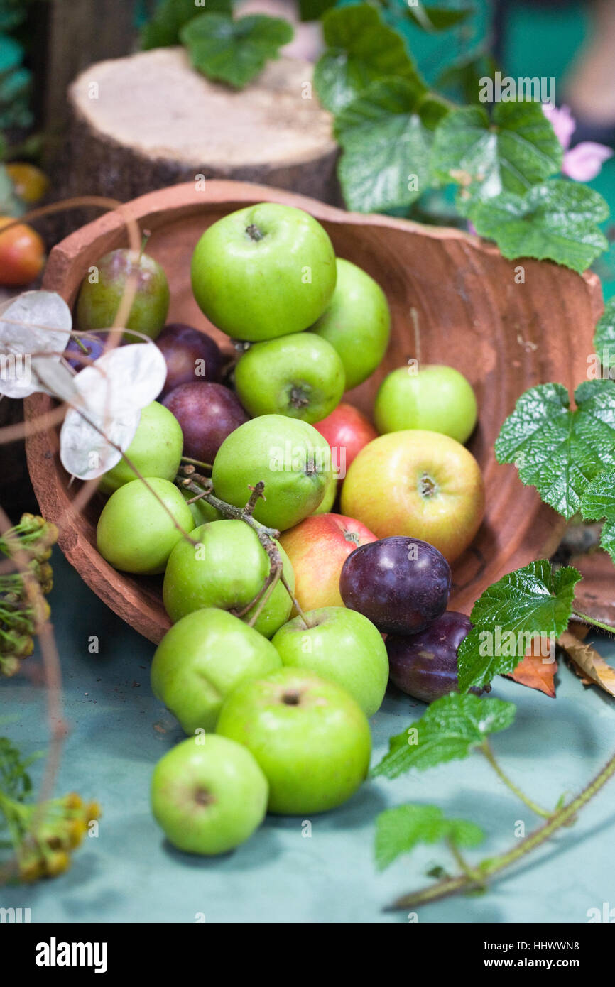 Display displays exhibit exhibition hi-res stock photography and images ...