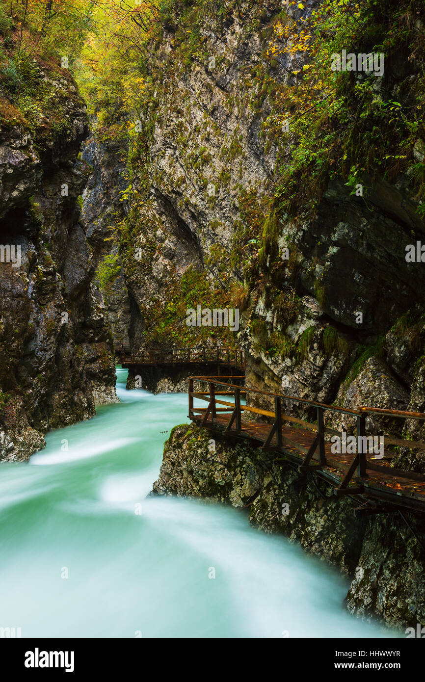 Vintgar gorge and wooden path near Bled, Slovenia.Europe Stock Photo ...