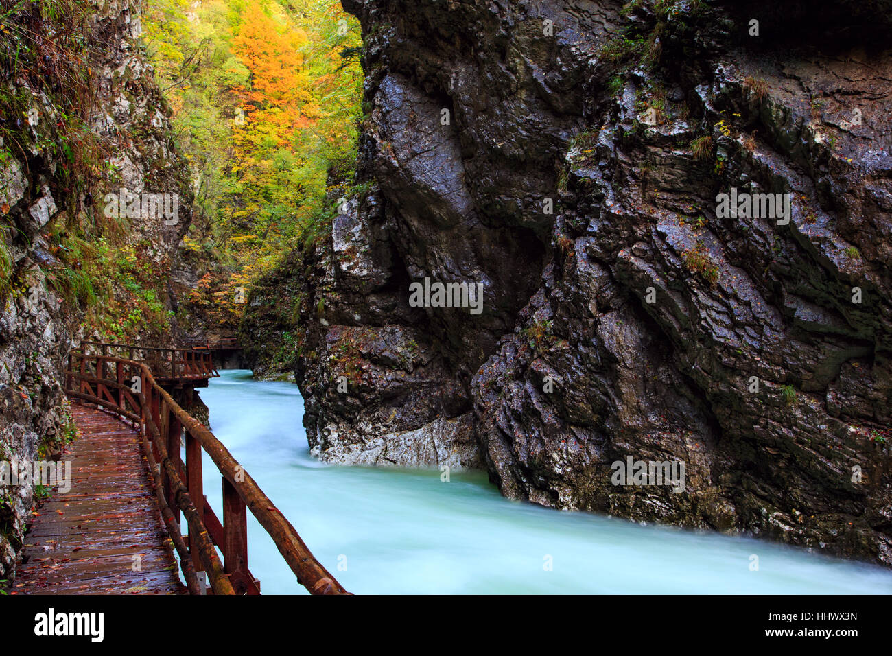 Vintgar gorge and wooden path near Bled, Slovenia.Europe Stock Photo ...