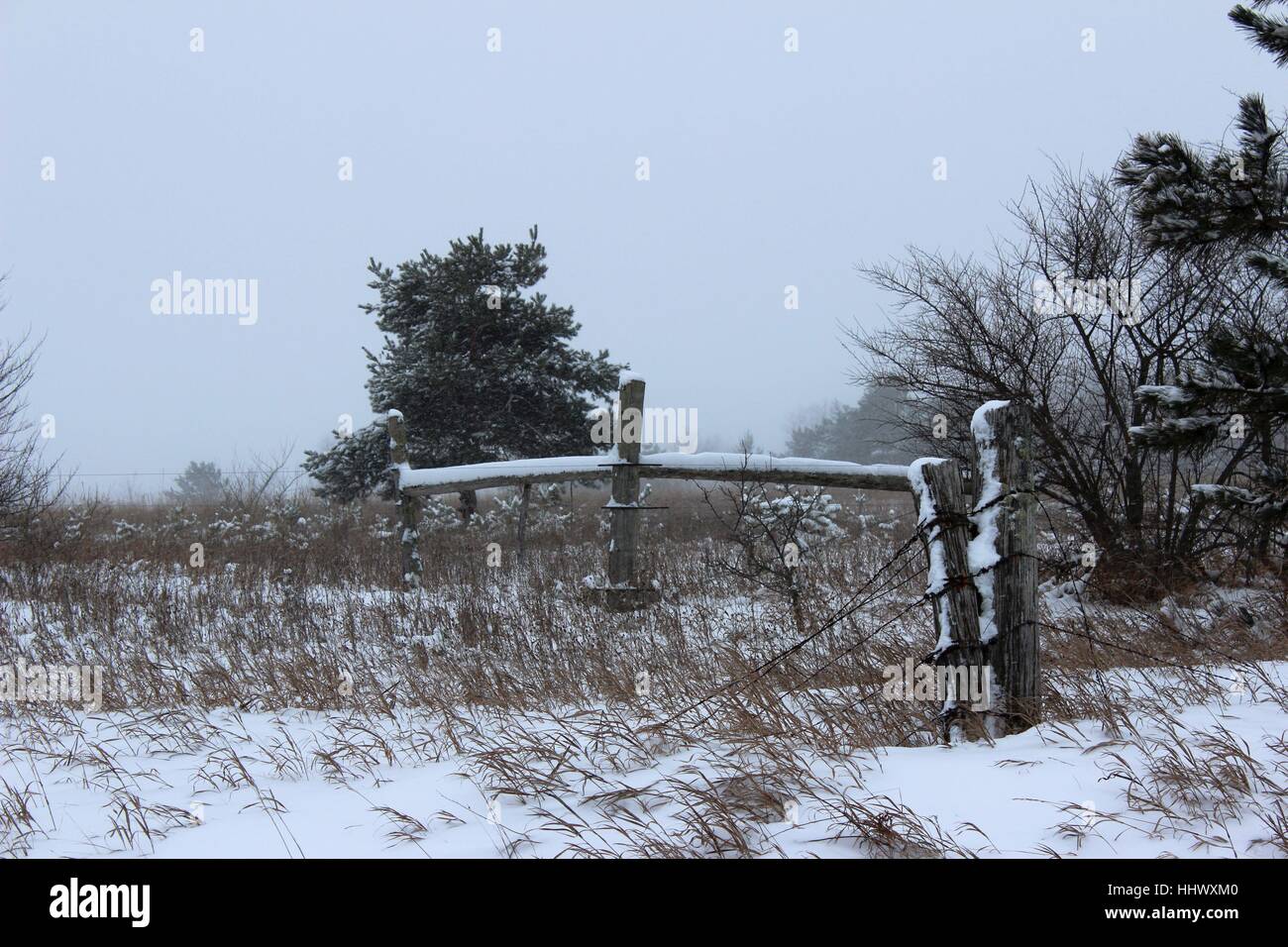 Corner of the fence hi-res stock photography and images - Alamy