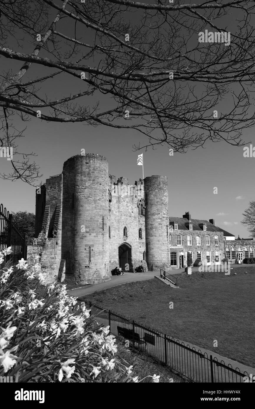 Green day images Black and White Stock Photos & Images - Alamy