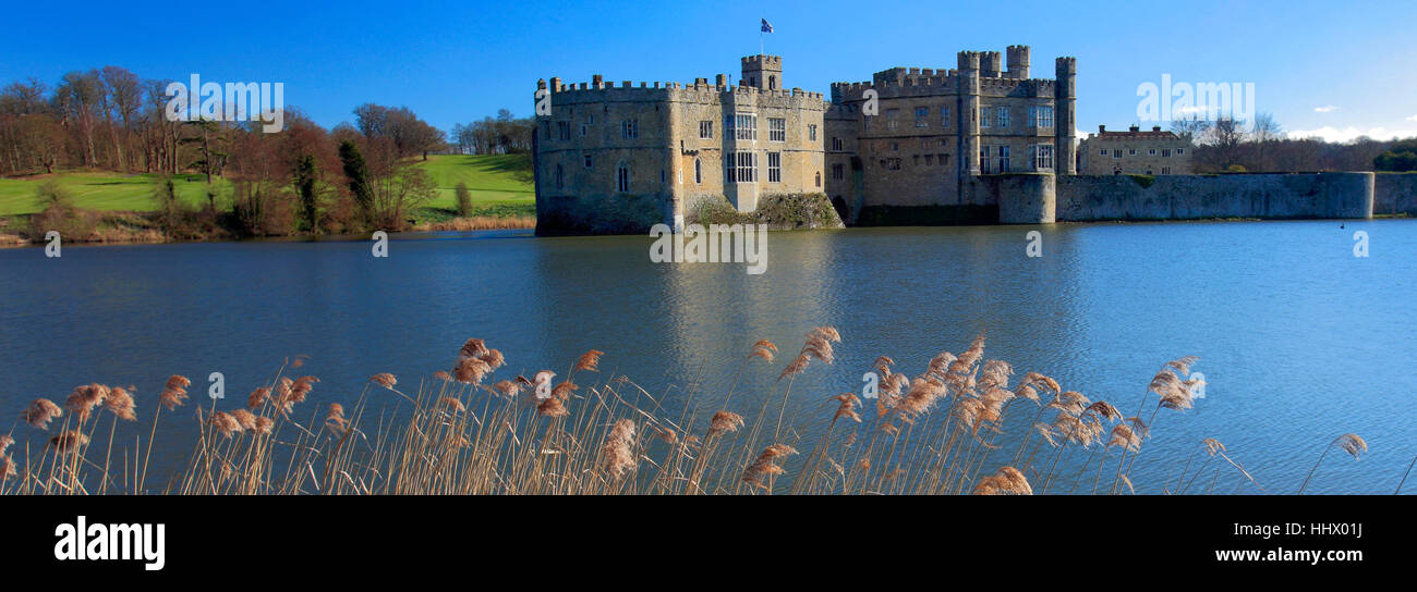 Spring Daffodil flowers at Leeds Castle, Kent, England, UK Stock Photo ...