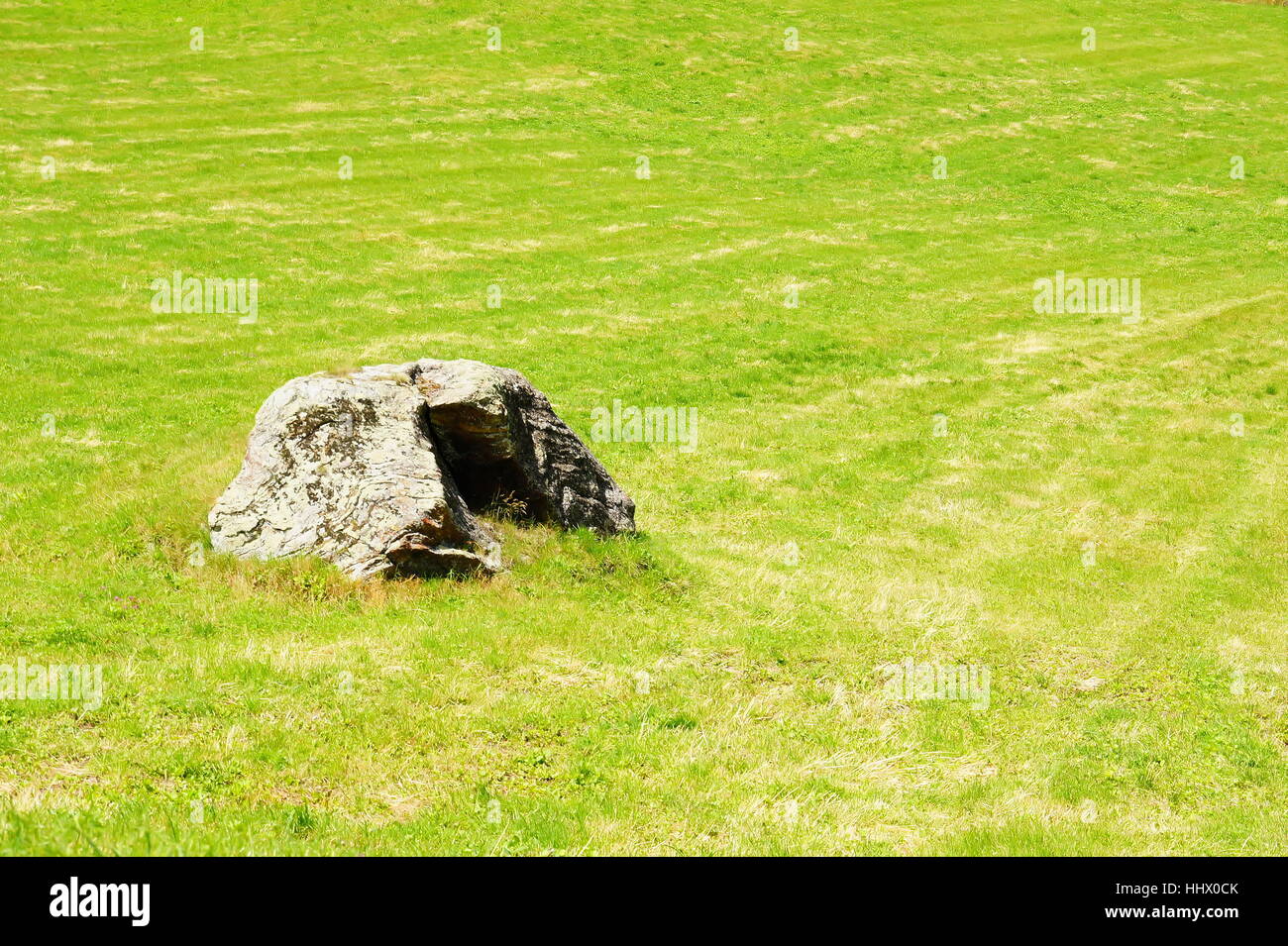 Grass On Rocks