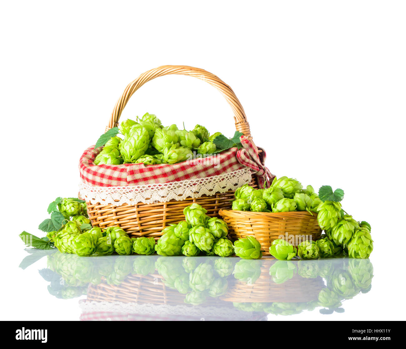 Green fresh Hop Flowers in a basket isolated on white background Stock ...