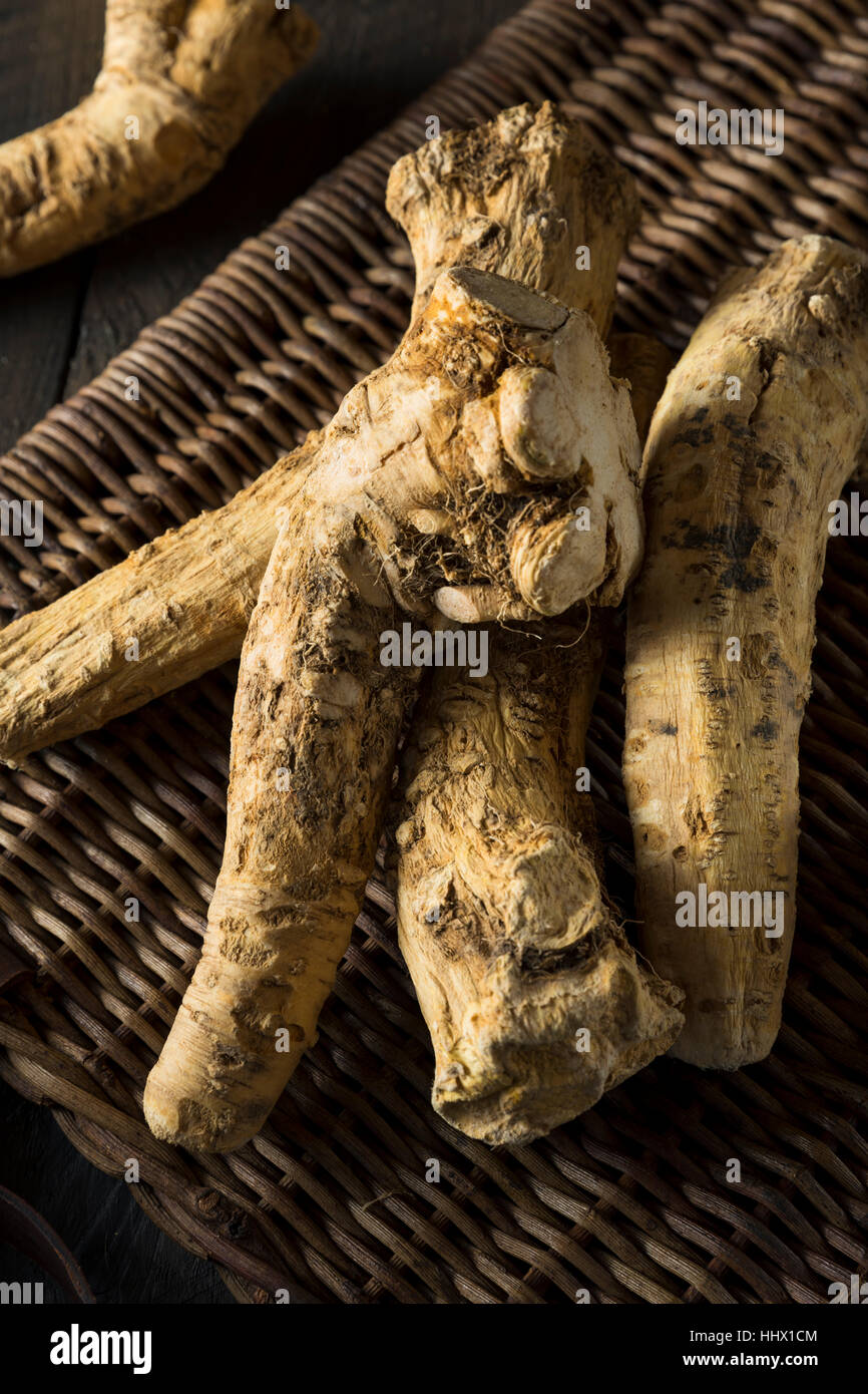 Raw Organic Brown Horseradish Root Ready for Cooking Stock Photo - Alamy