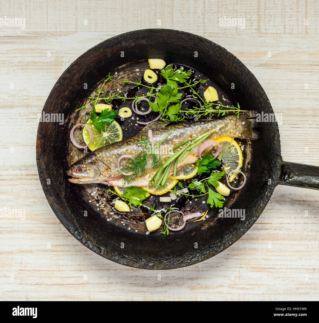 Rainbow Trout Fish Seasoned and Spiced with Herbs and Cooking ...