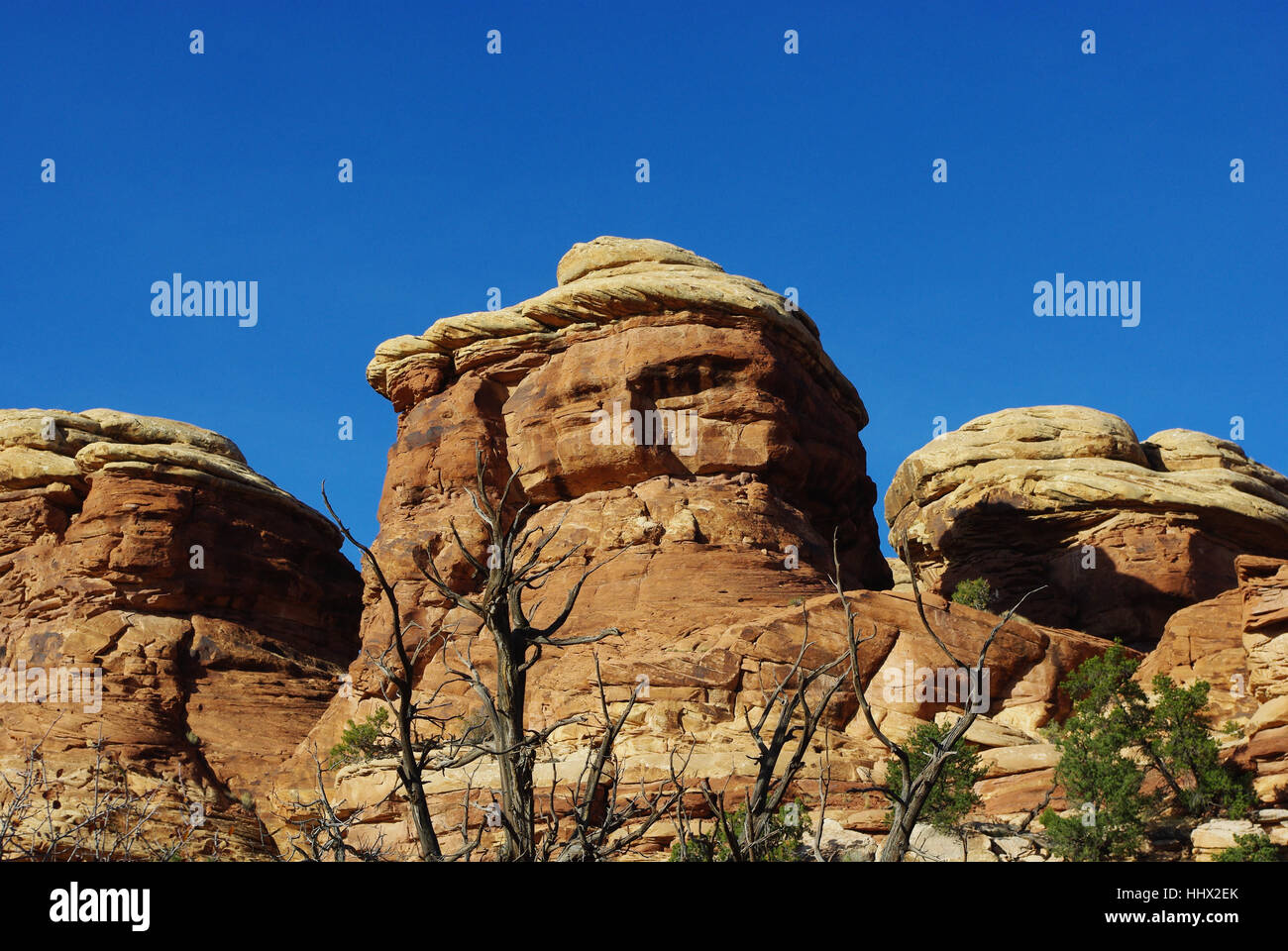 blue, tree, formation, rock, dry, dried up, barren, firmament, sky ...