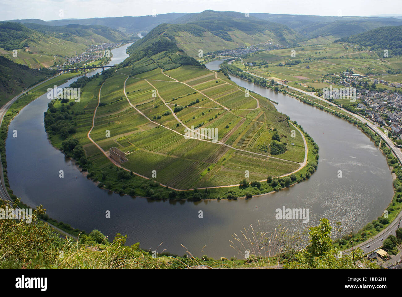 europe, mosel, germany, german federal republic, vine, grape vine ...