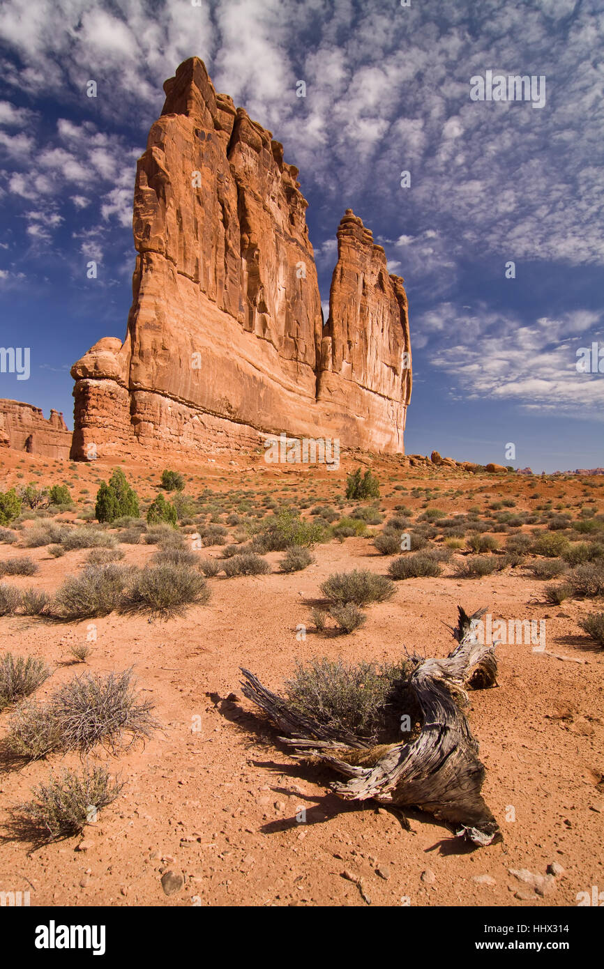archer national park Stock Photo - Alamy