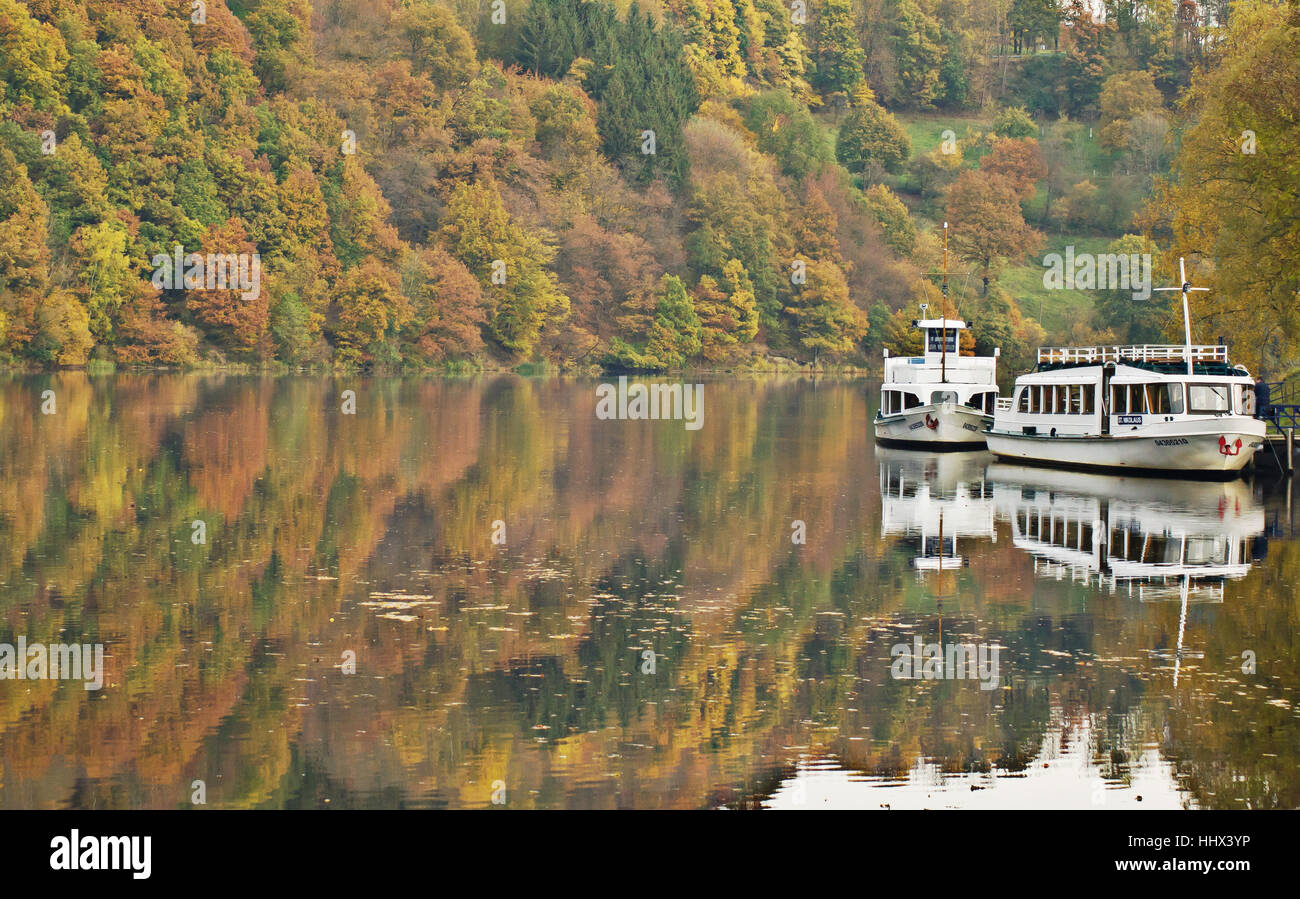 tree, mirroring, salt water, sea, ocean, water, forest, nature, sailing ...