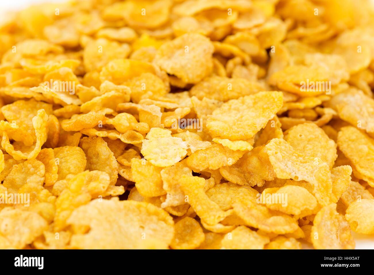 milk, cereals, cereal, flakes, food, breakfeast, breakfast, grain, food ...