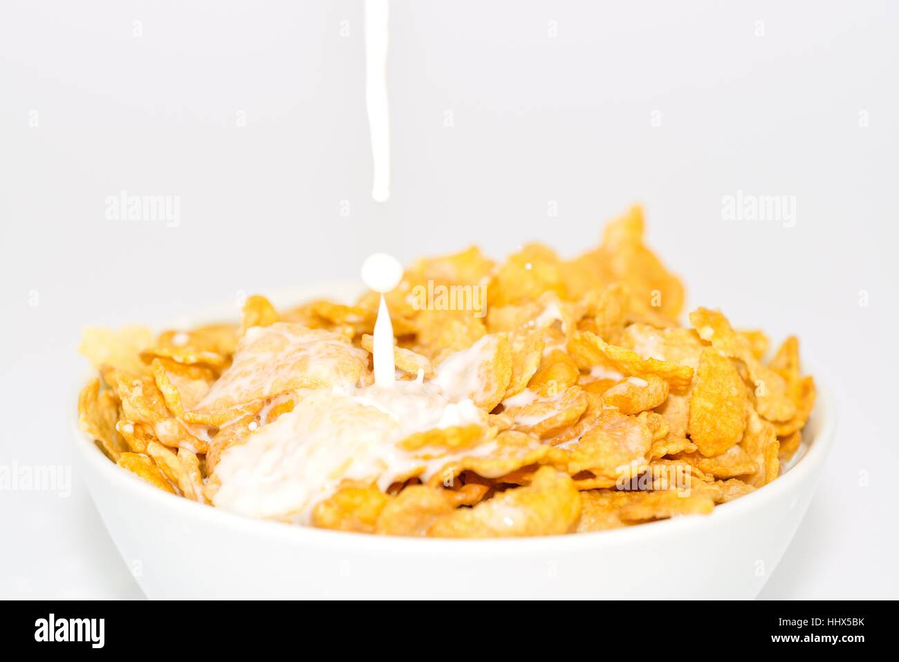 milk, cereals, cereal, food, breakfeast, breakfast, grain, food ...