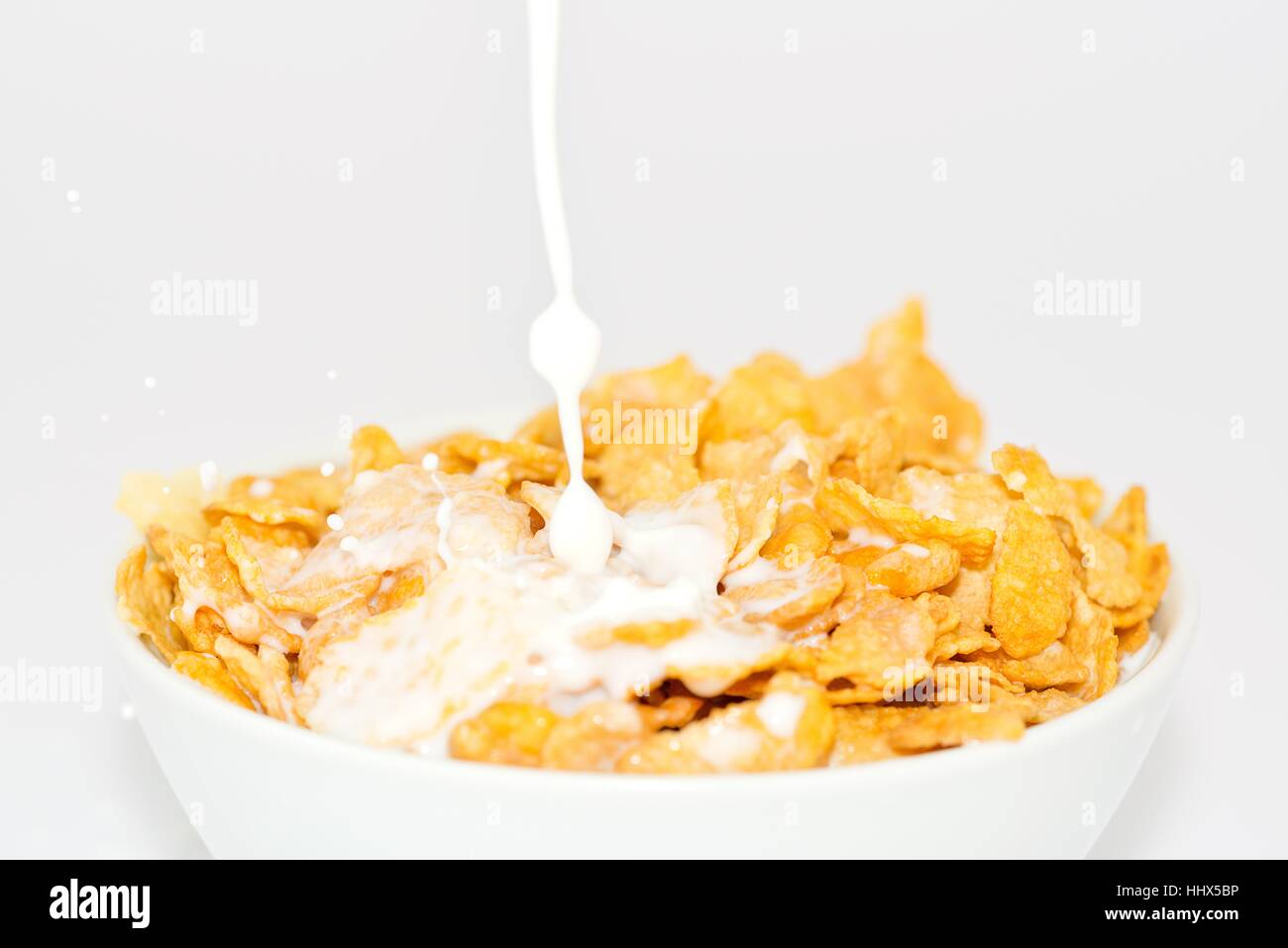 milk, cereals, cereal, food, breakfeast, breakfast, grain, food ...