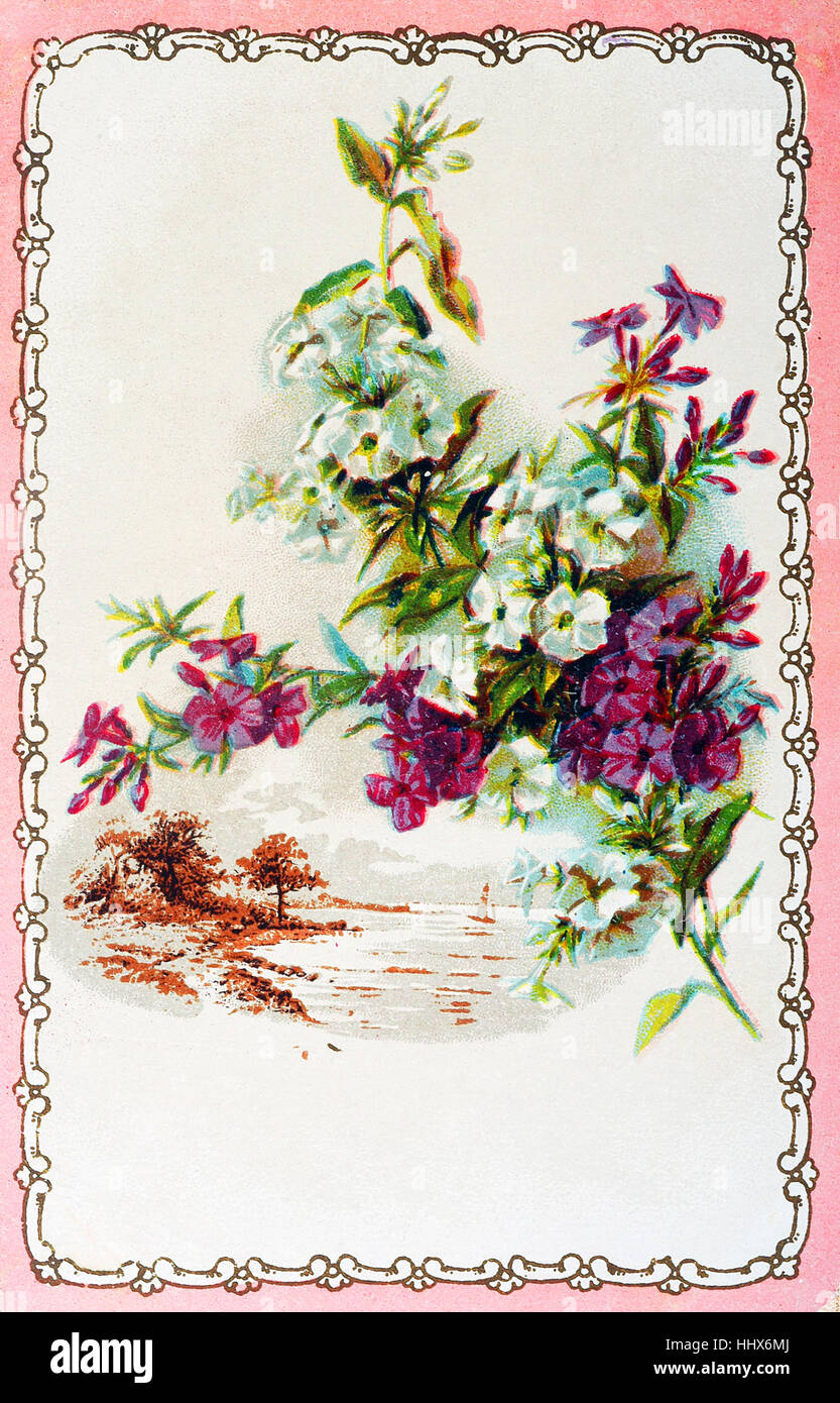 old postcard for flower for all occasions Stock Photo - Alamy