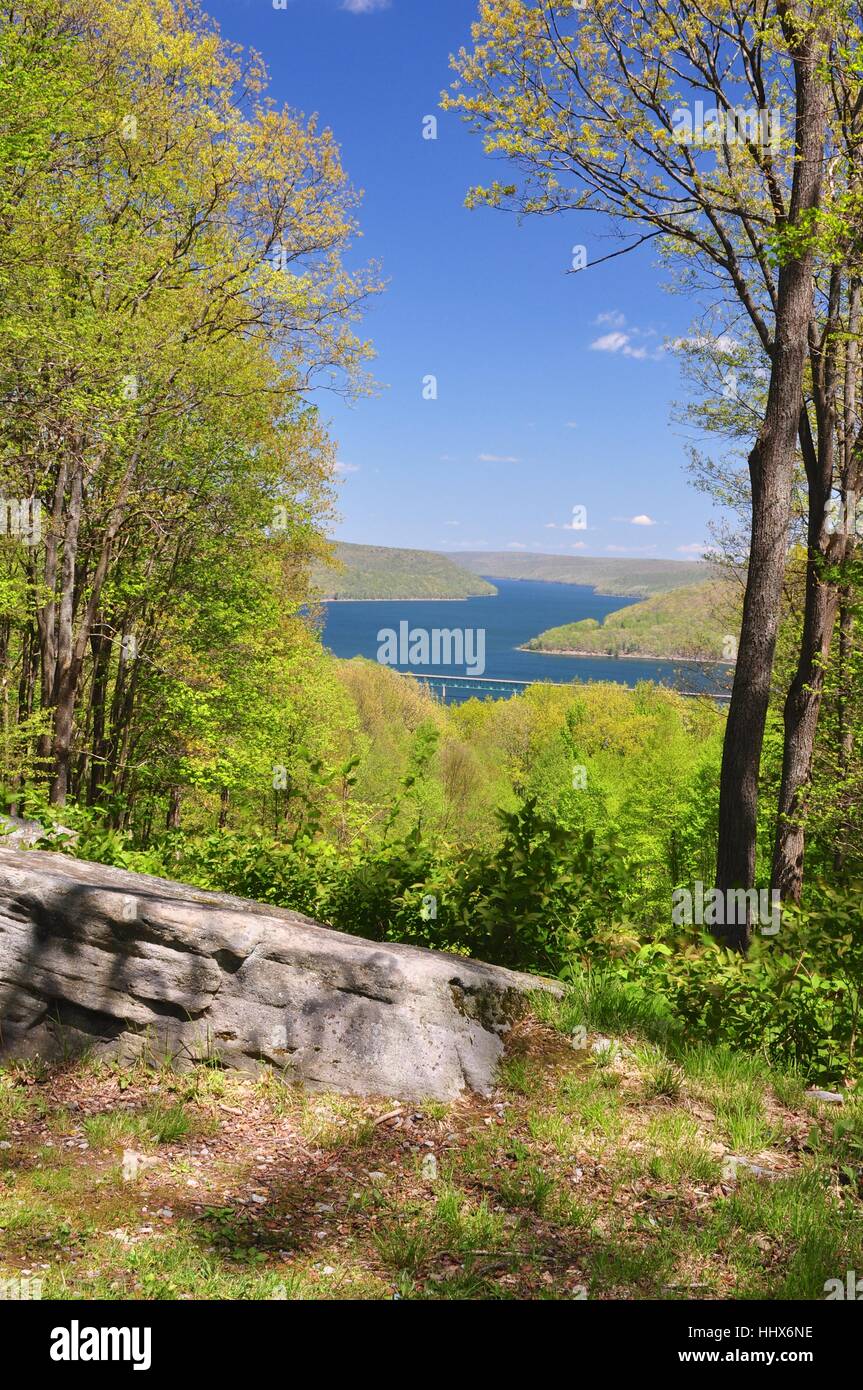 Allegheny national forest hi-res stock photography and images - Alamy