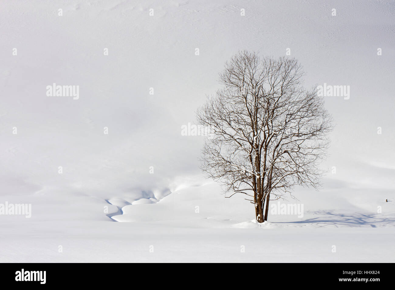 winter, snow, coke, cocaine, material, drug, anaesthetic, addictive ...