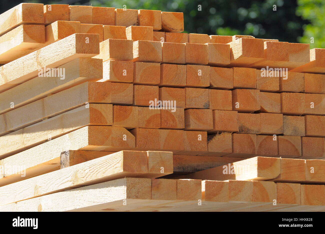 wood, black forest, raw material, lasting, sawmill, furniture, tree ...