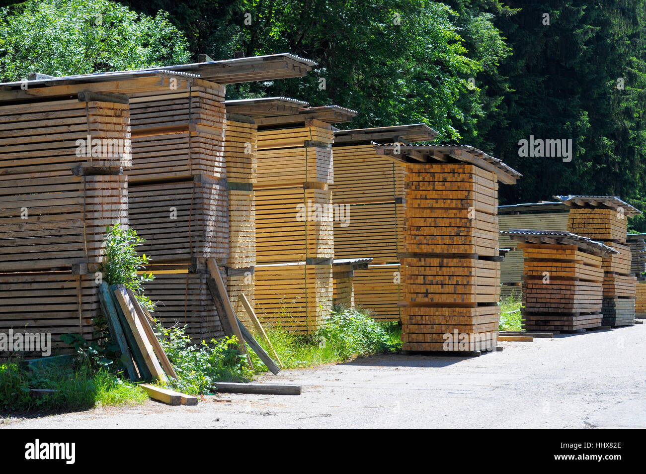 wood, black forest, raw material, lasting, sawmill, furniture, tree ...