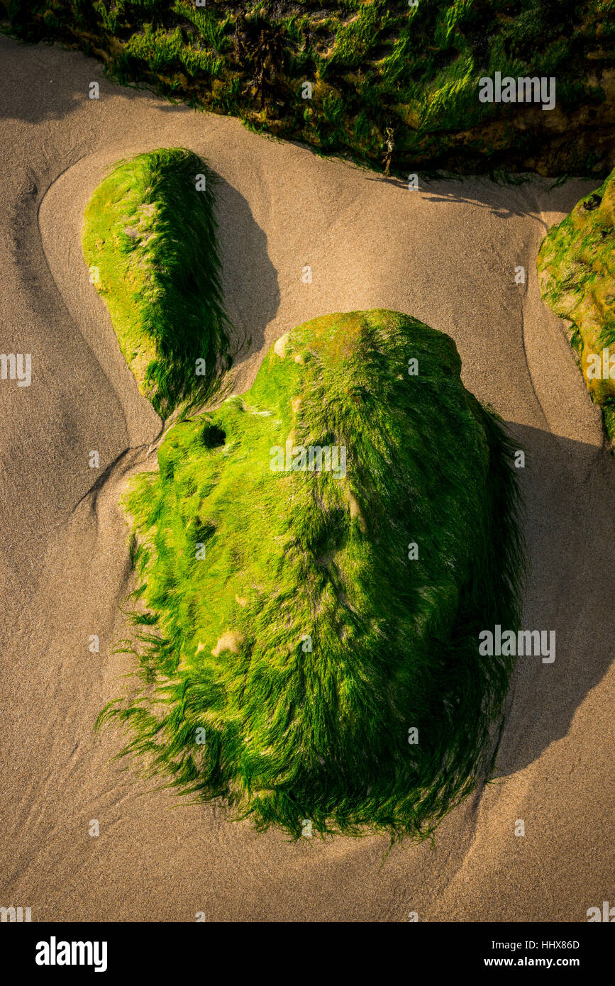 Sandy rock texture hi-res stock photography and images - Alamy