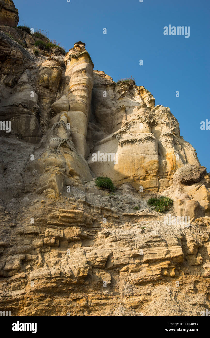Soft sandstone rocks at Knipe point, Cayton bay, Scarborough, North ...