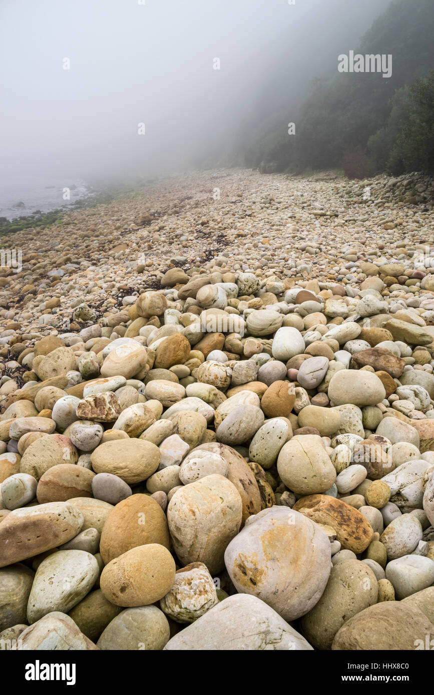 Shore pebbles hi-res stock photography and images - Alamy