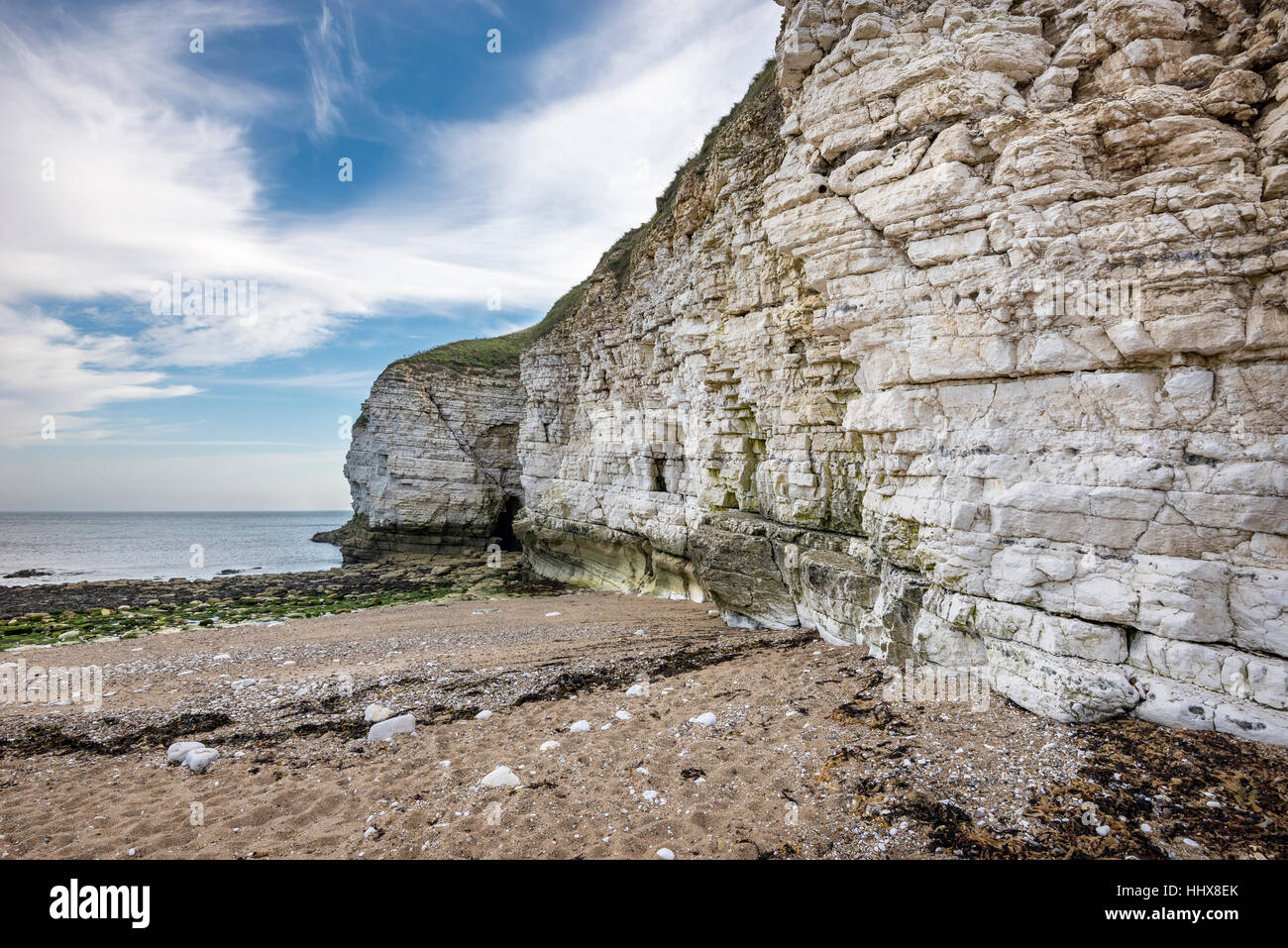 White chalk cliffs at Thornwick bay on the coast of North Yorkshire ...