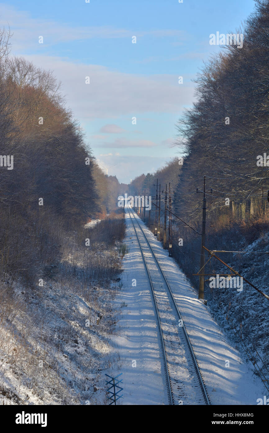 train tracks running through the winter forest Stock Photo - Alamy