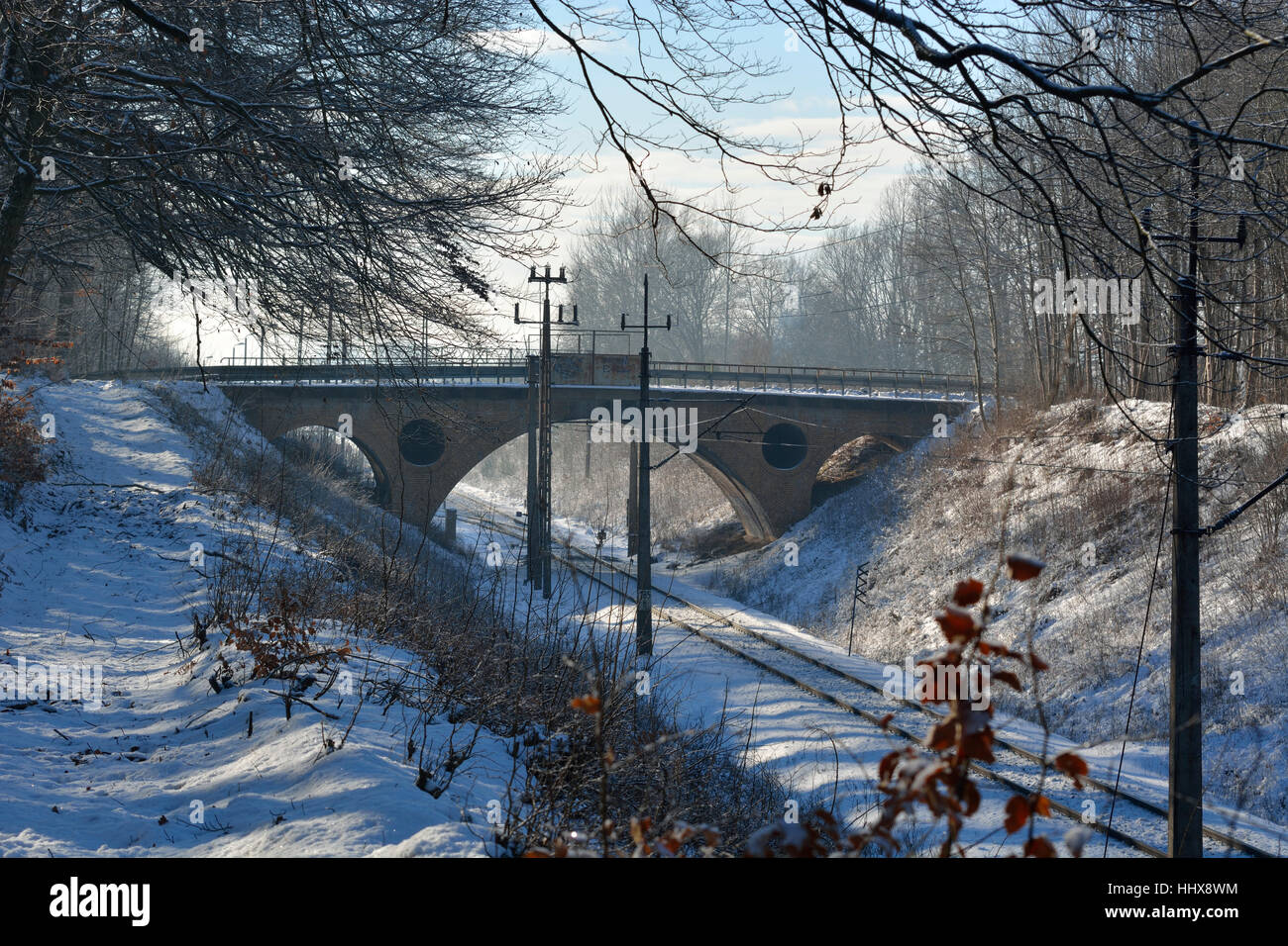 Railroad tracks with trees hi-res stock photography and images - Alamy