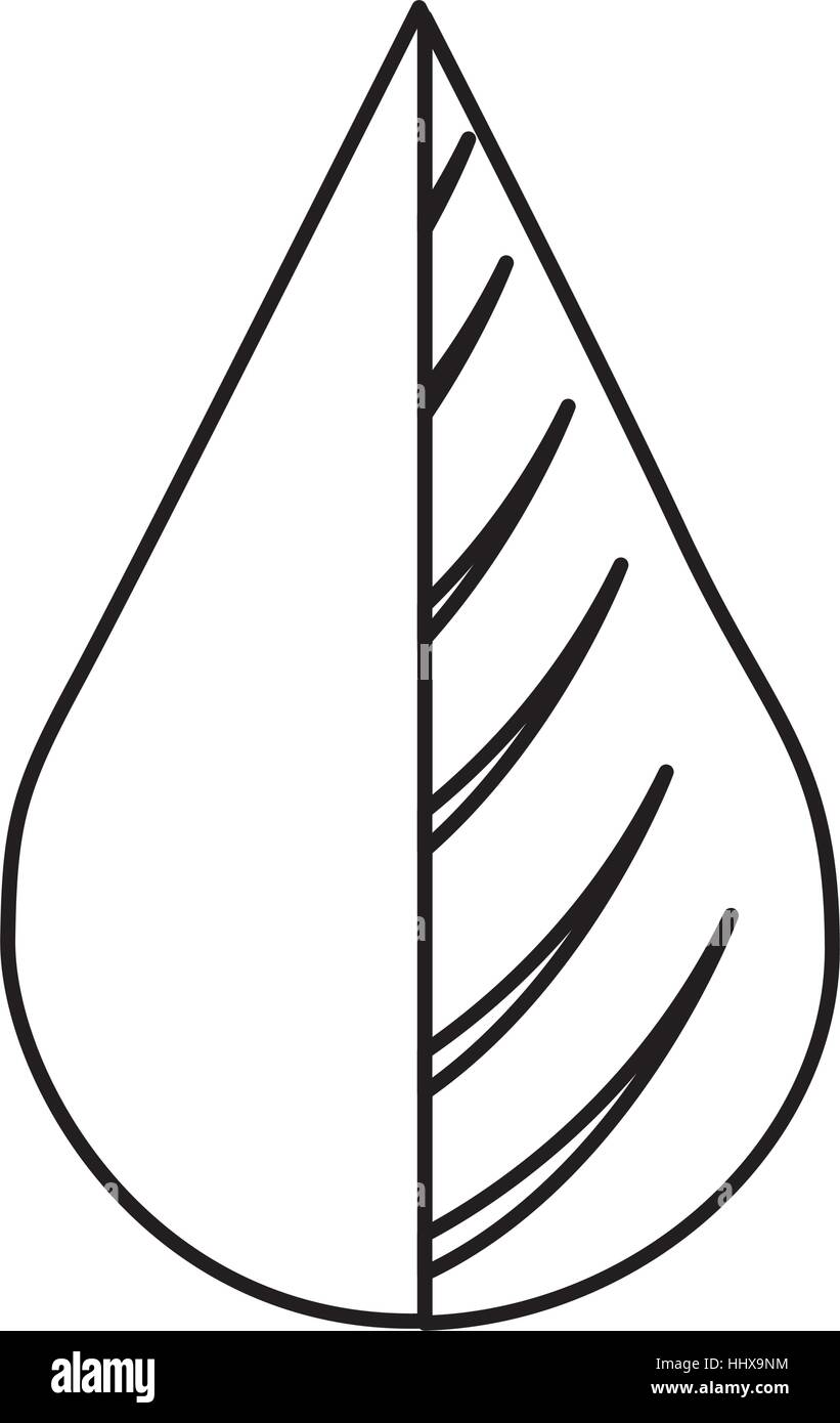 water drop and leaf plant vector illustration design Stock Vector Image ...